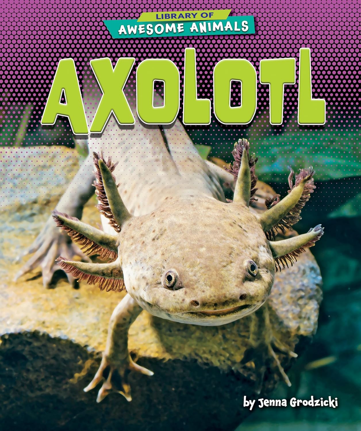 Axolotl - Non-Fiction Reading for Grade 3, Developmental Learning for ...