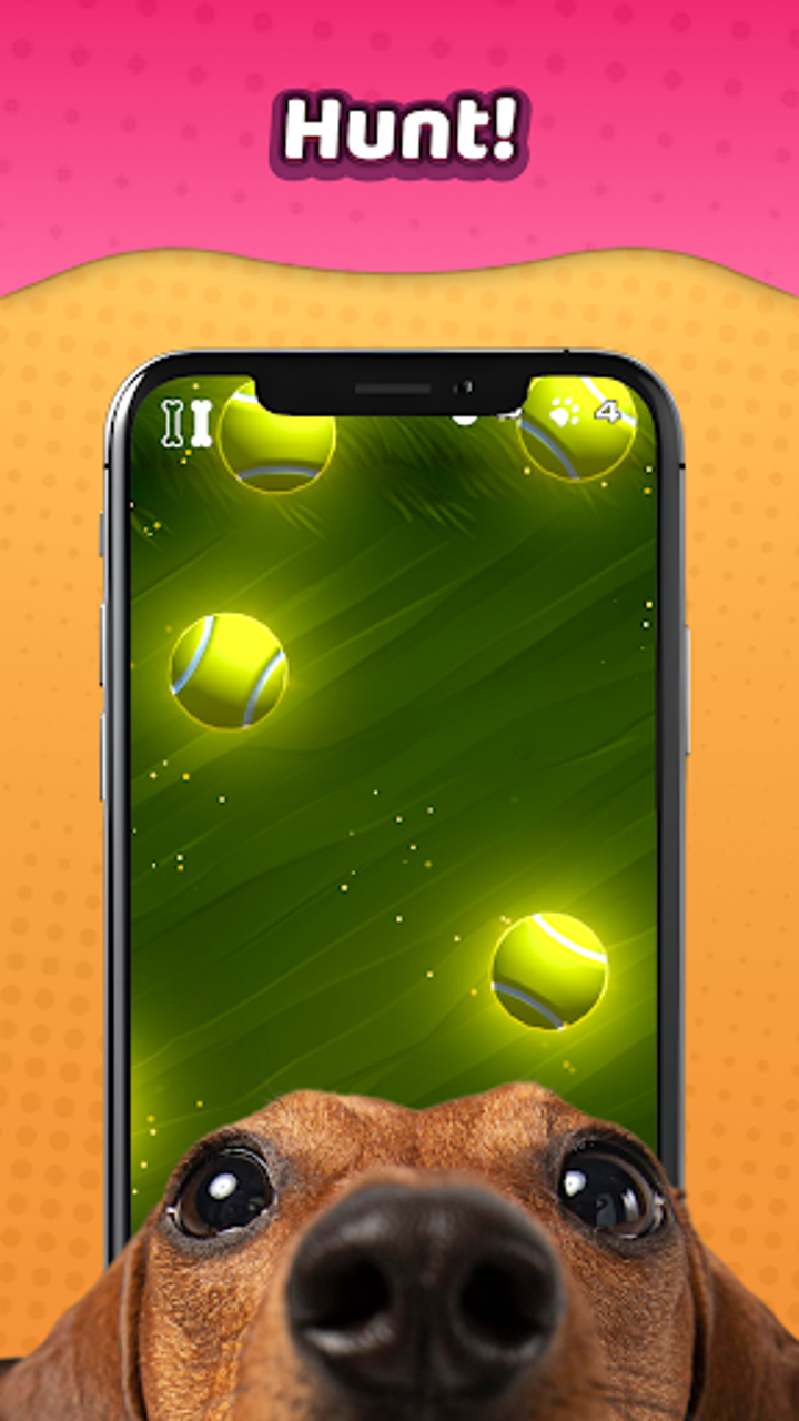 Laser Pointer－Games for Dogs - App on Amazon Appstore