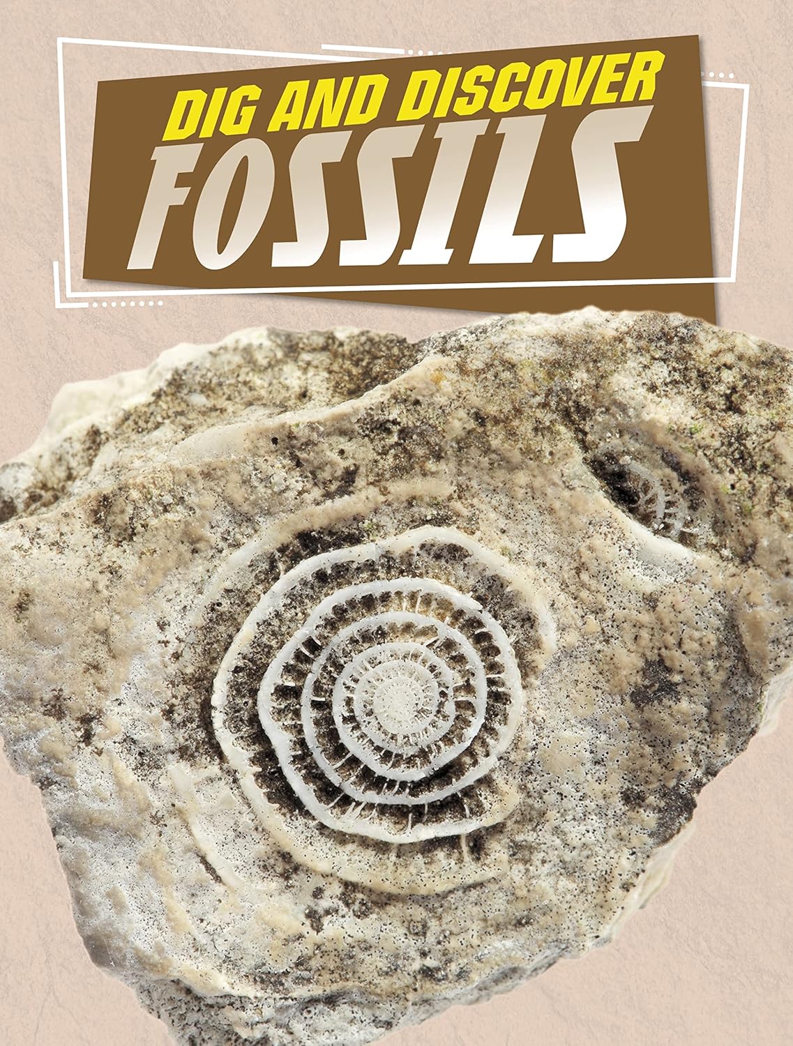 Dig and Discover Fossils: Anita Nahta Amin: 9781398245198: Amazon.com ...