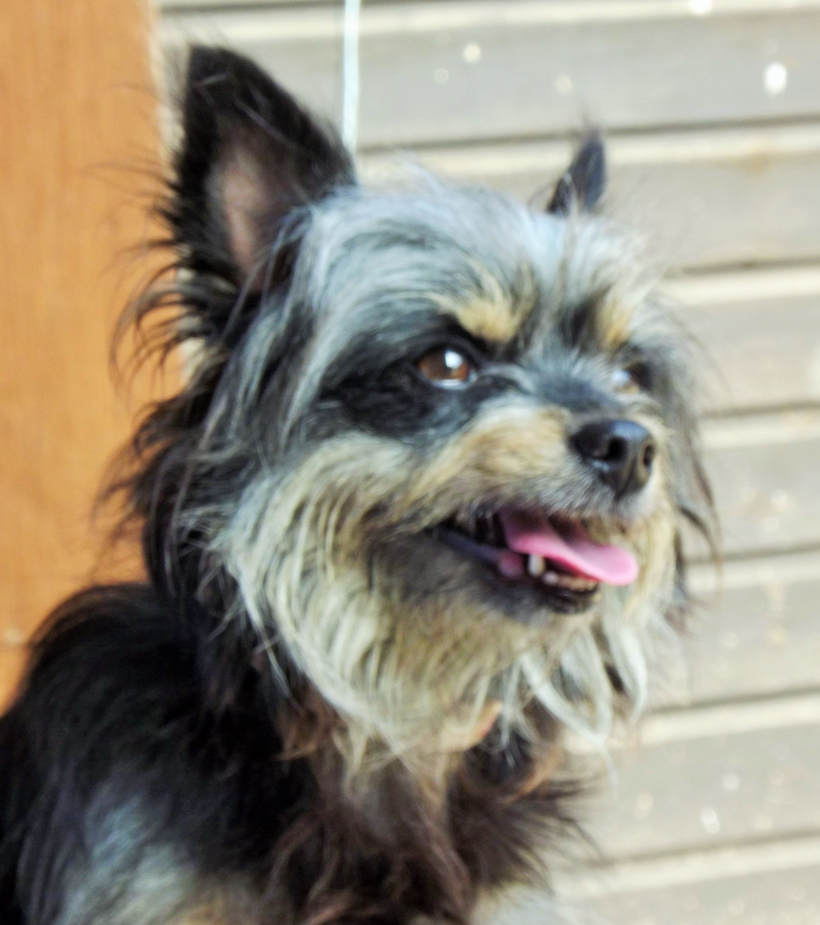 Amazon.com: Lee Marsh: books, biography, latest update