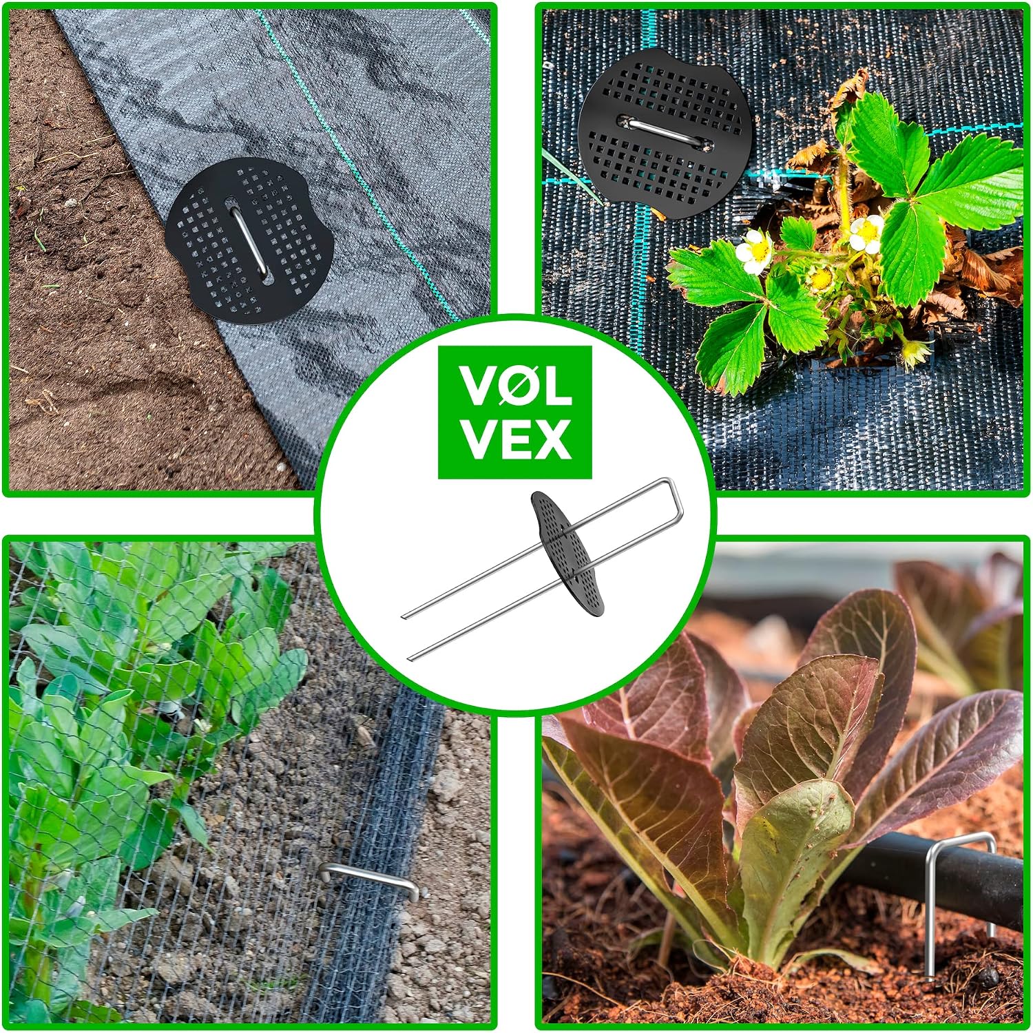 VOLVEX Paquete de 60 grapas de jardín galvanizadas de 6 pulgadas ...