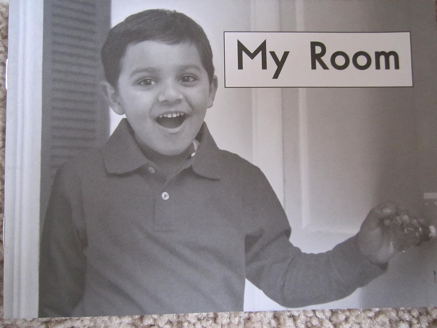 My Room (Fountas and Pinnell Leveled Literacy Intervention Books ...