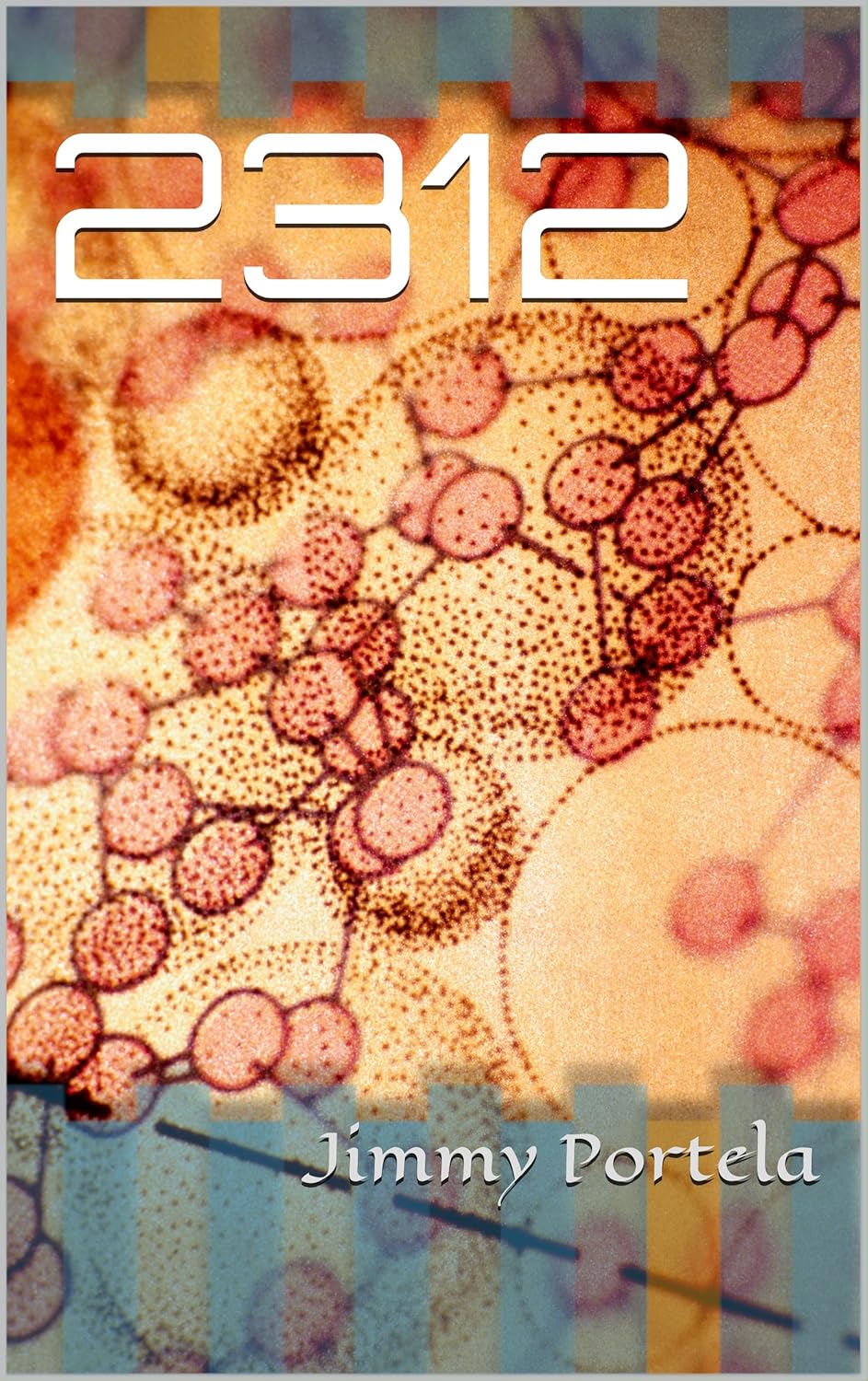 Amazon.com: 2312 eBook : Portela, Jimmy: Kindle Store