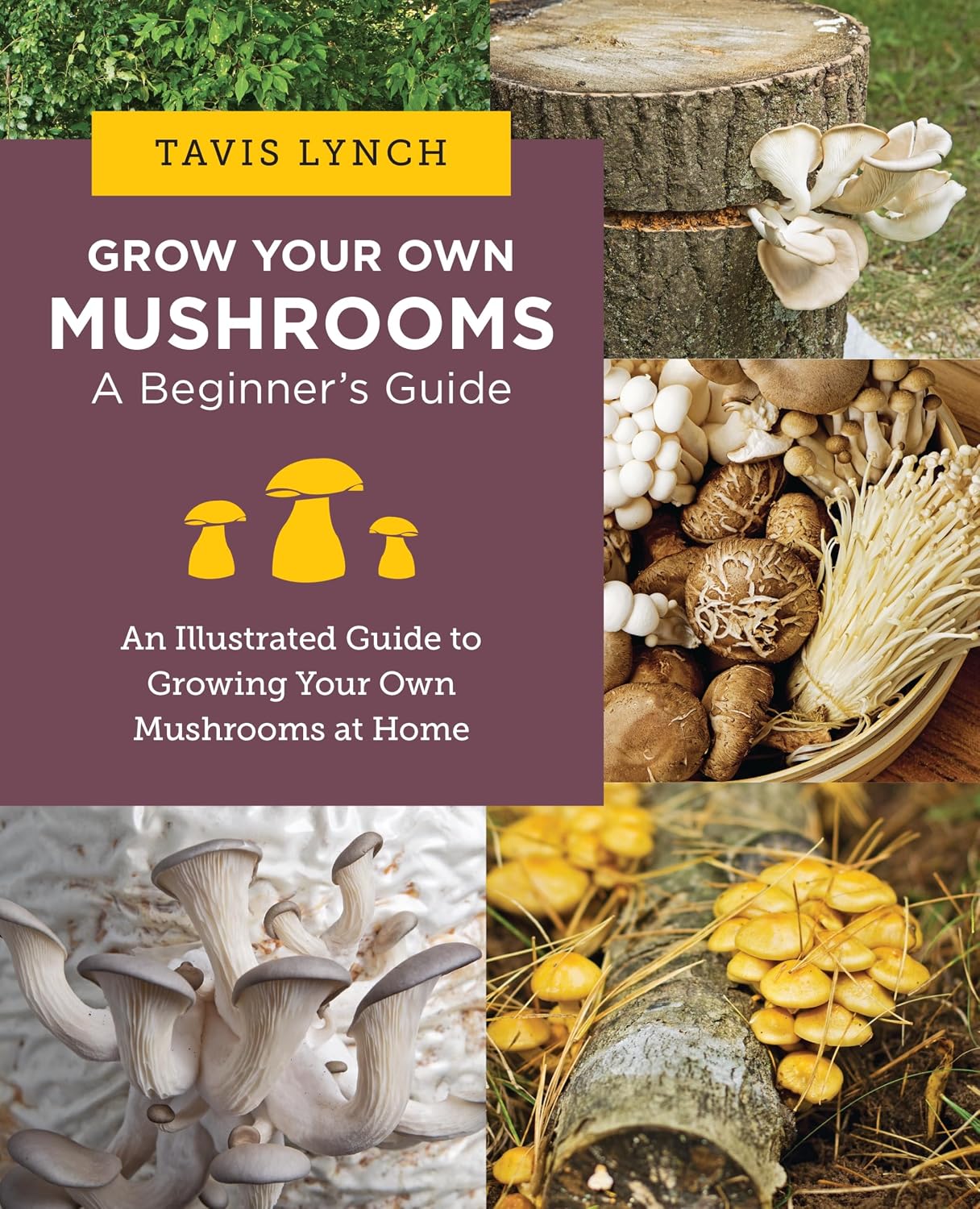 Grow Your Own Mushrooms: A Beginner's Guide: An Illustrated Guide to ...