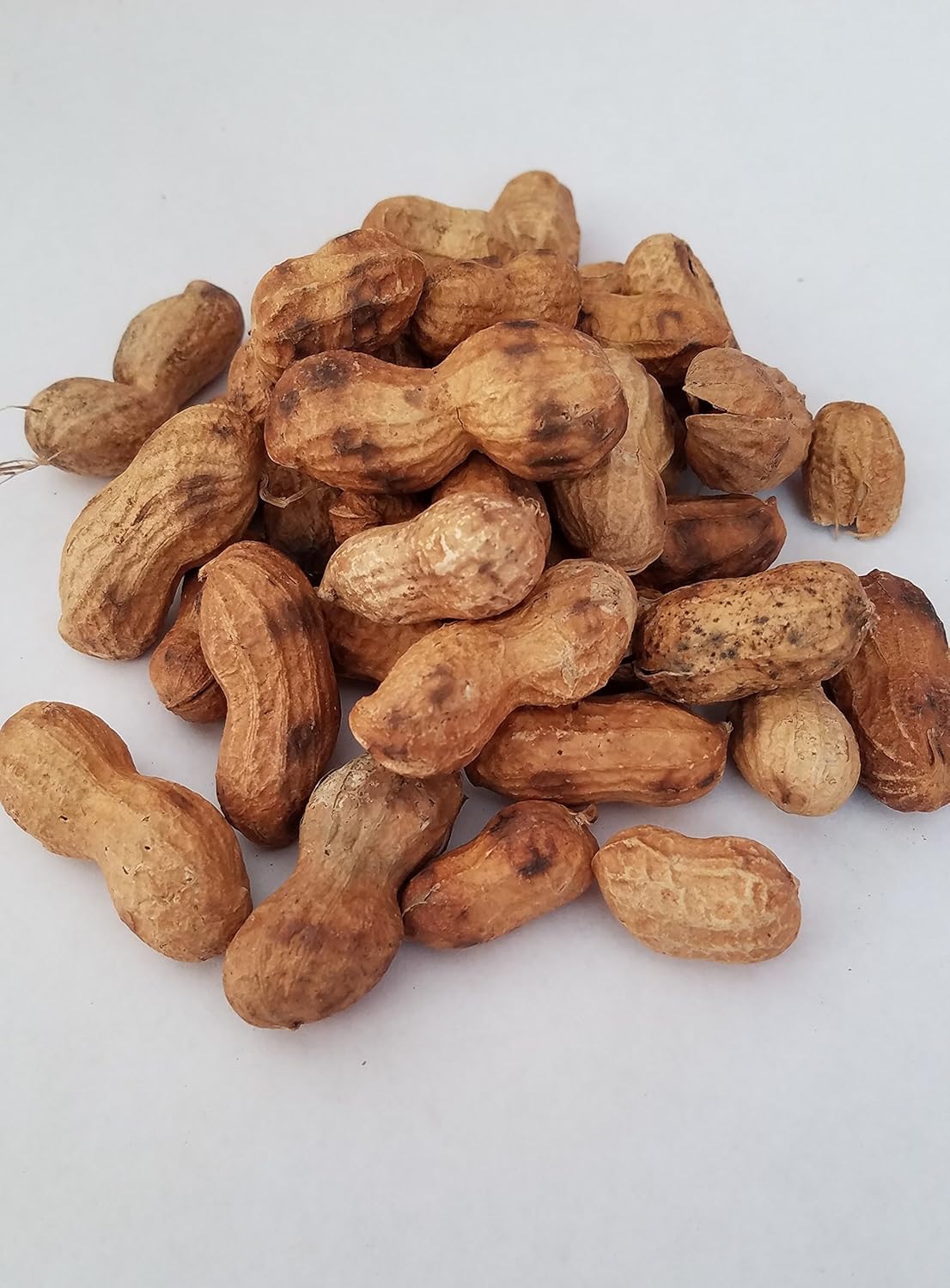Amazon.com : Roasted in Shell Peanuts 2Lb Bulk Deal Naturally Unsalted ...