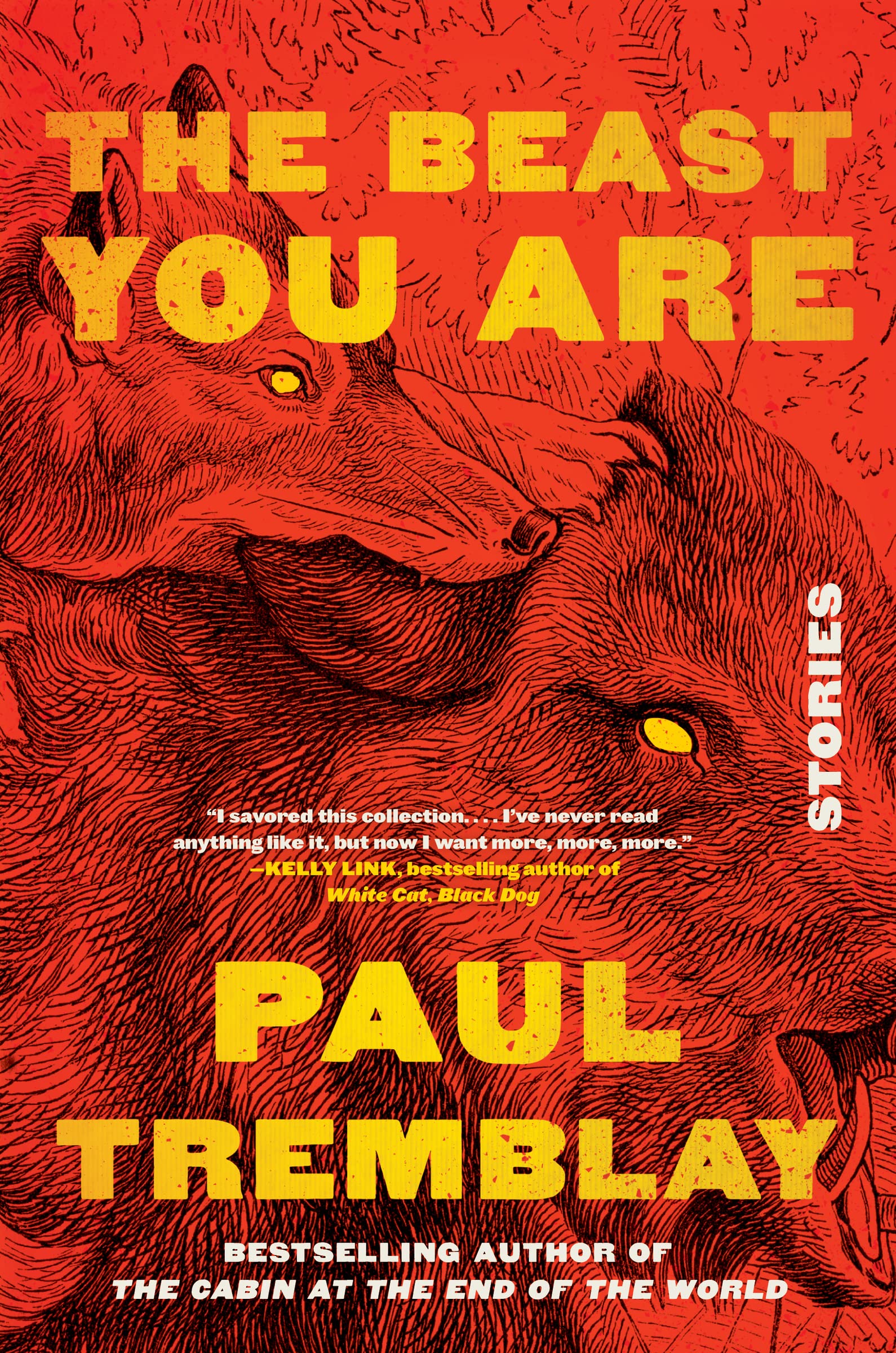 Amazon.com: The Beast You Are: Stories: 9780063069961: Tremblay, Paul ...