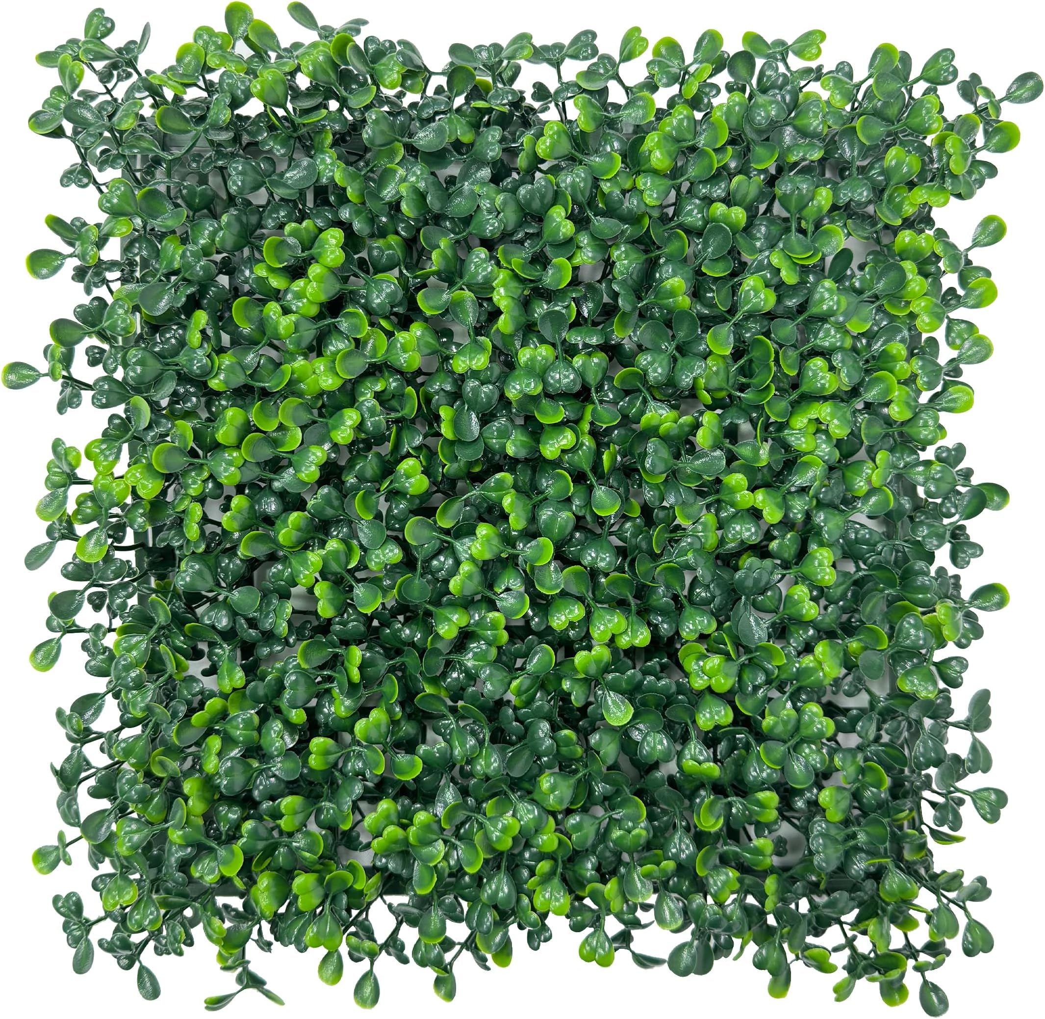 Amazon.com: DOPGIB Artificial Grass Wall Backdrop,10"x 10"(16P) Boxwood ...