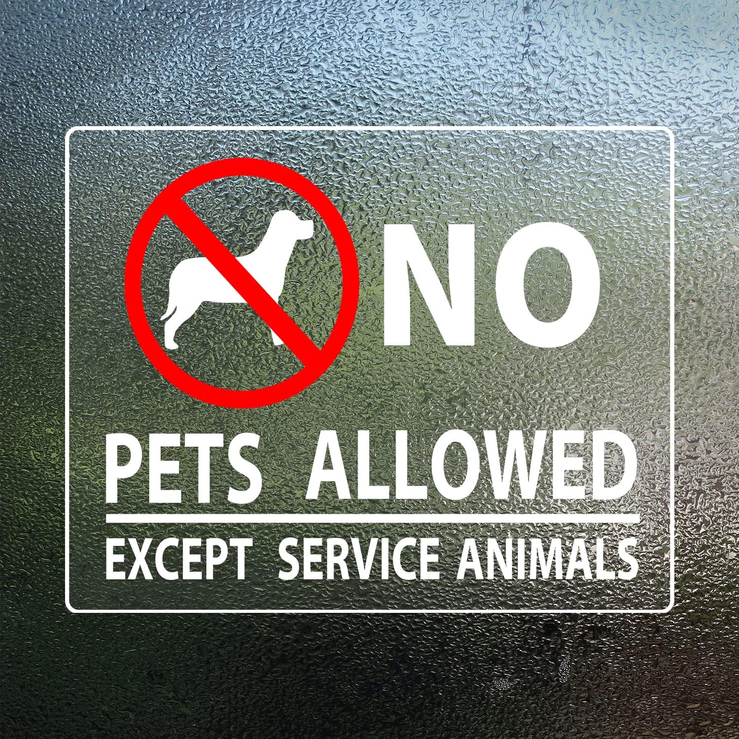 Amazon.com: No Pets Allowed Sign Sticker 10x8 Inch Vinyl Window Door ...