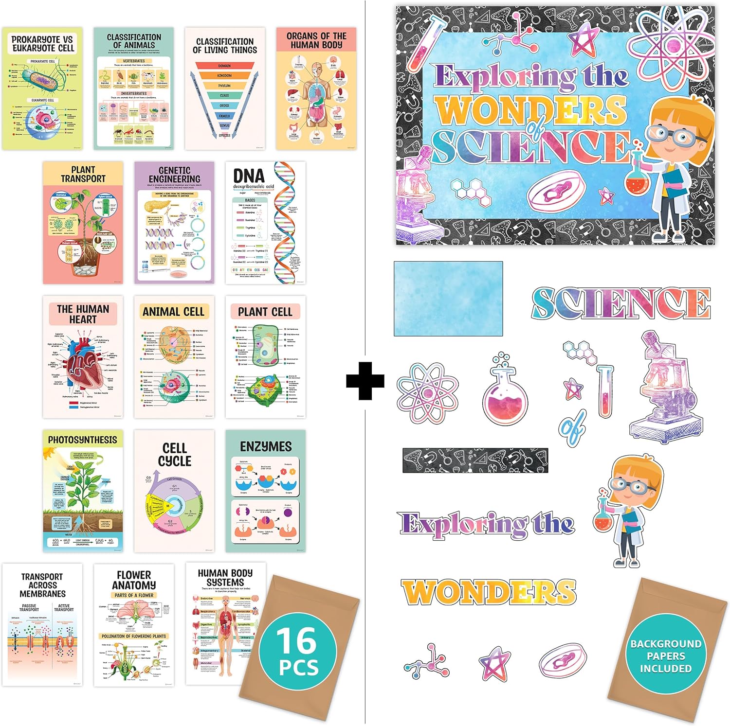 Amazon.com: Decorably Science Biology Posters for Classroom and Science ...