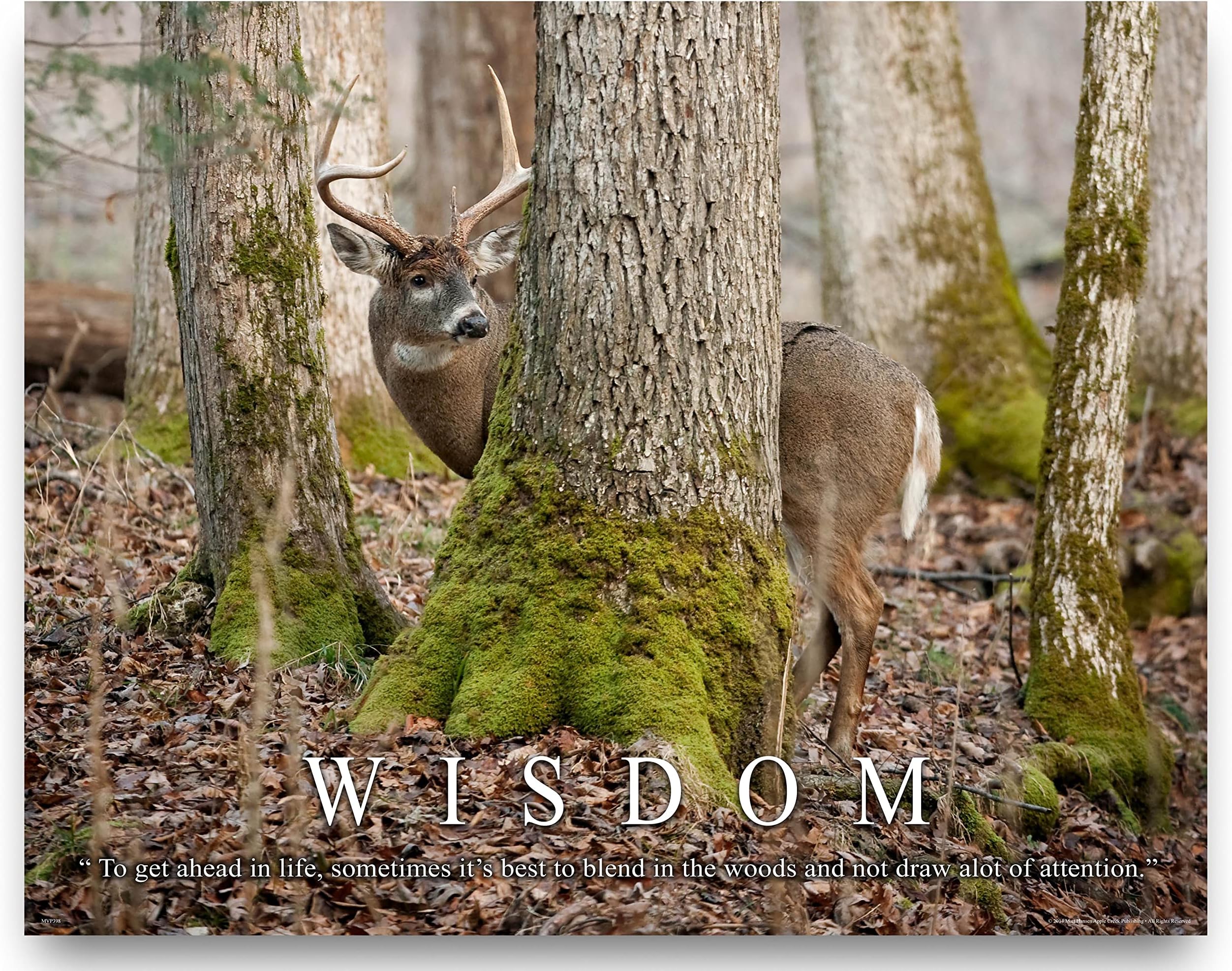Amazon.com: Whitetail Deer Motivational Poster Art Print 11x14 Bow ...