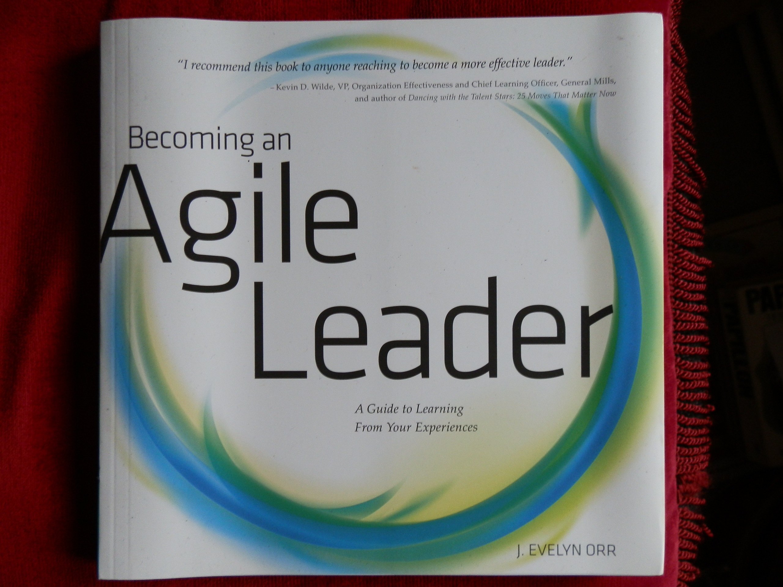Becoming an Agile Leader, a Guide to Learning From Your Experiences: J ...