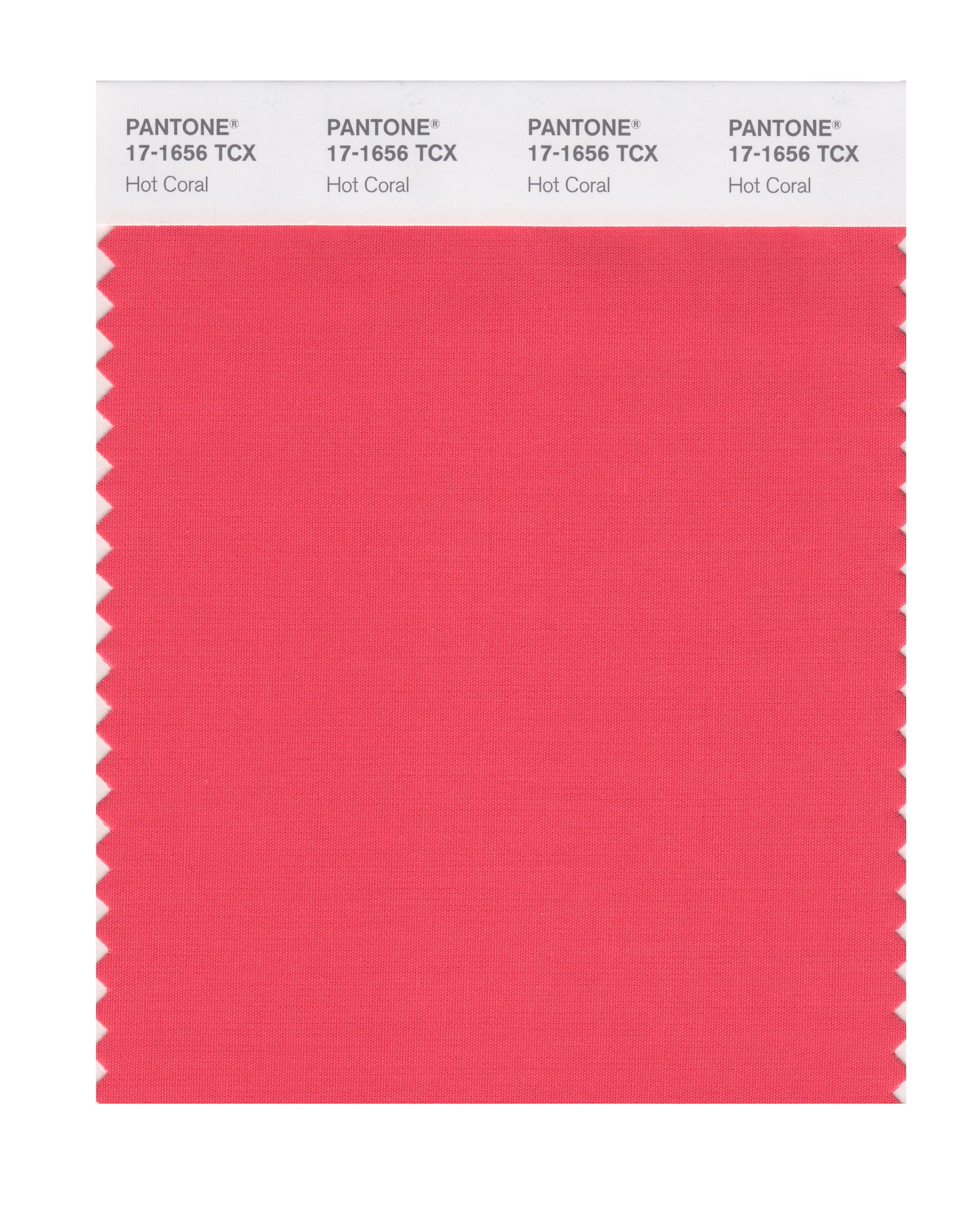 Bright Coral Color Swatch How To Decorate With Coral Colors To Create