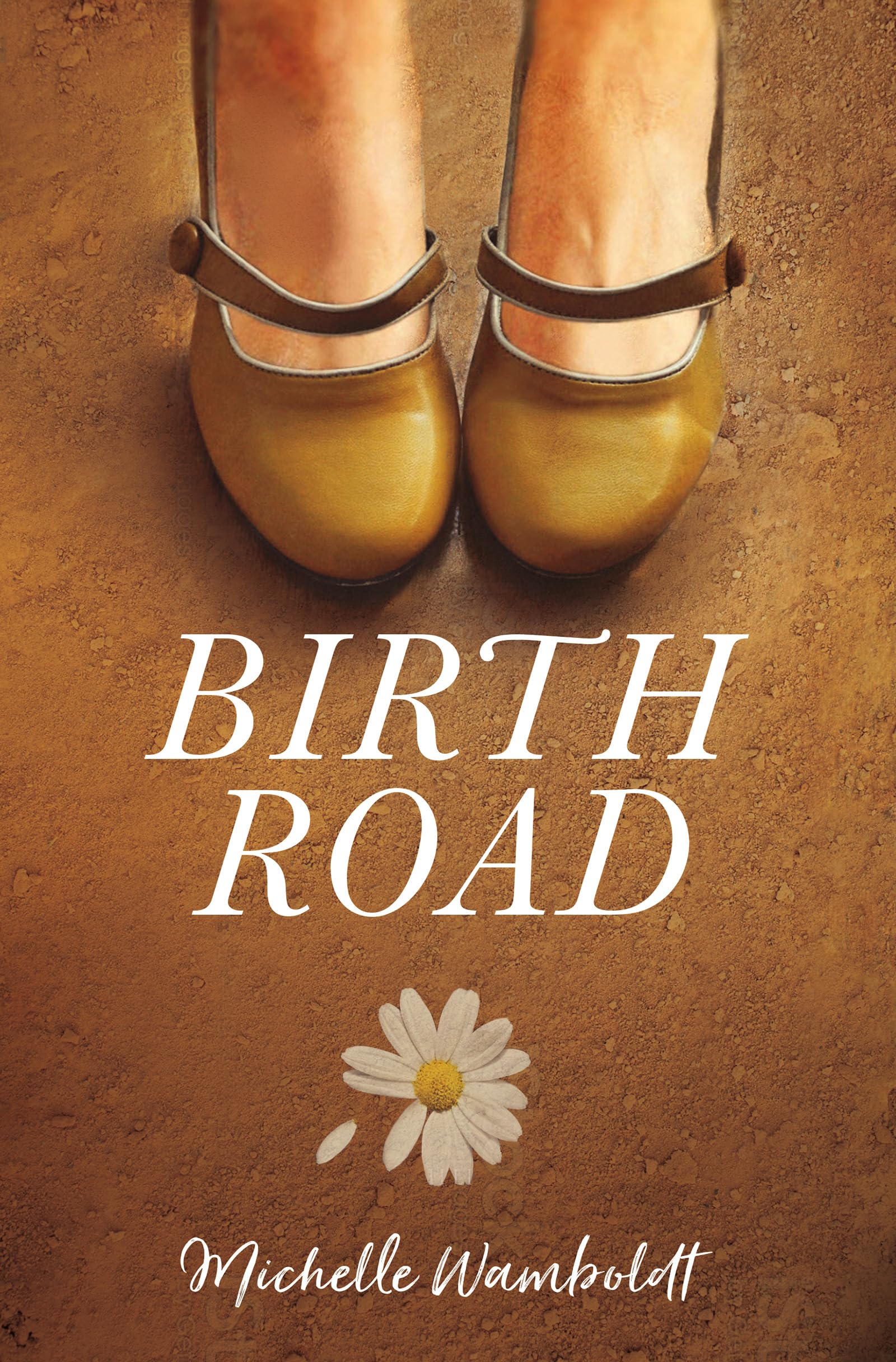 Birth Road: Wamboldt, Michelle: 9781774710401: Amazon.com: Books