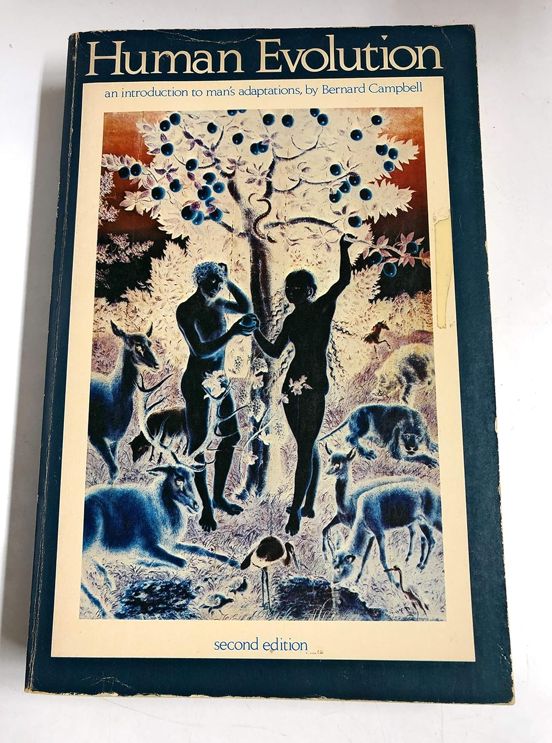 Human Evolution: CAMPBELL, Bernard: 9780202020136: Amazon.com: Books