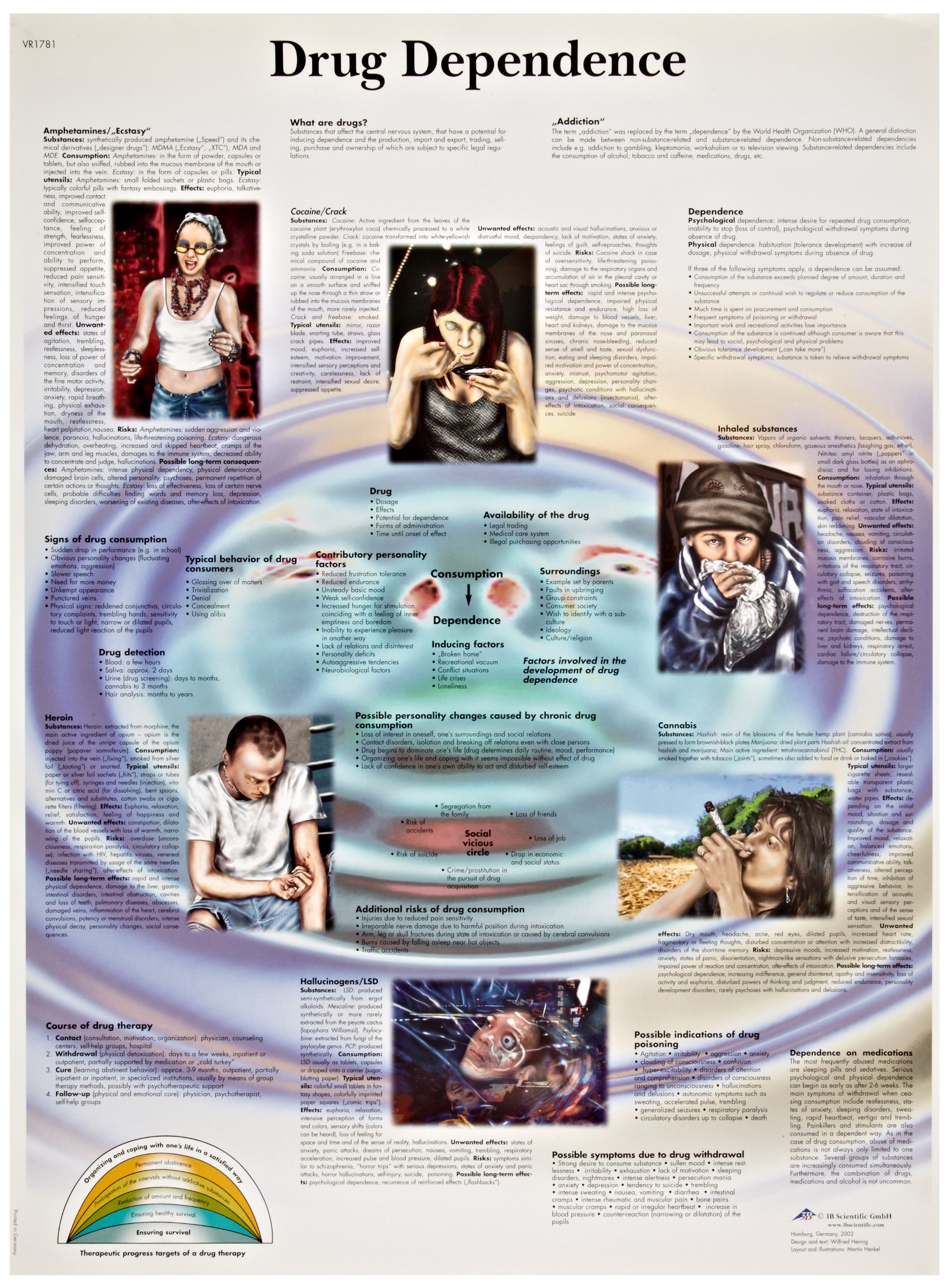 Buy 3B Scientific Glossy Paper Pelvis and Hip Anatomi and Pathology ...