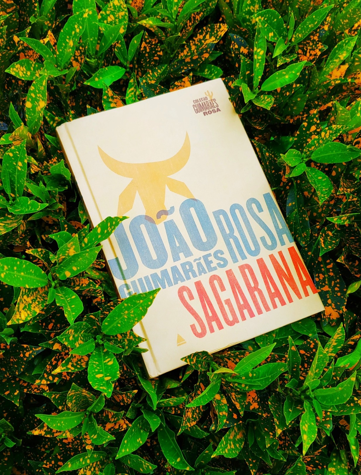 Sagarana | Amazon.com.br
