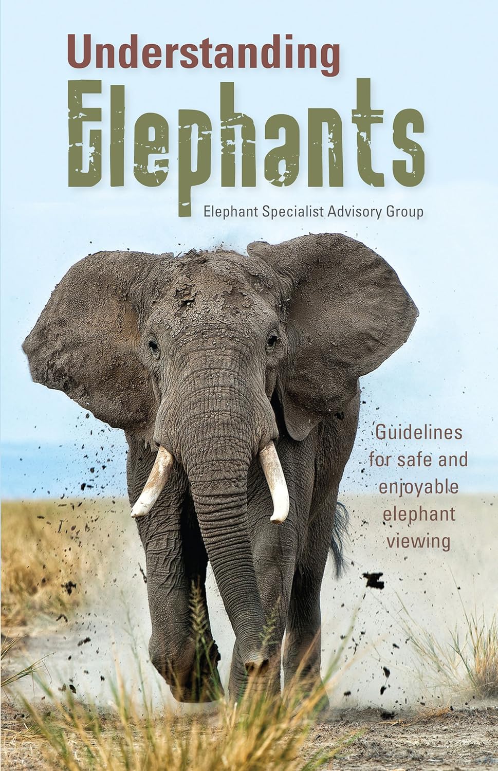 Understanding elephants: Guidelines for safe and enjoyable elephant ...