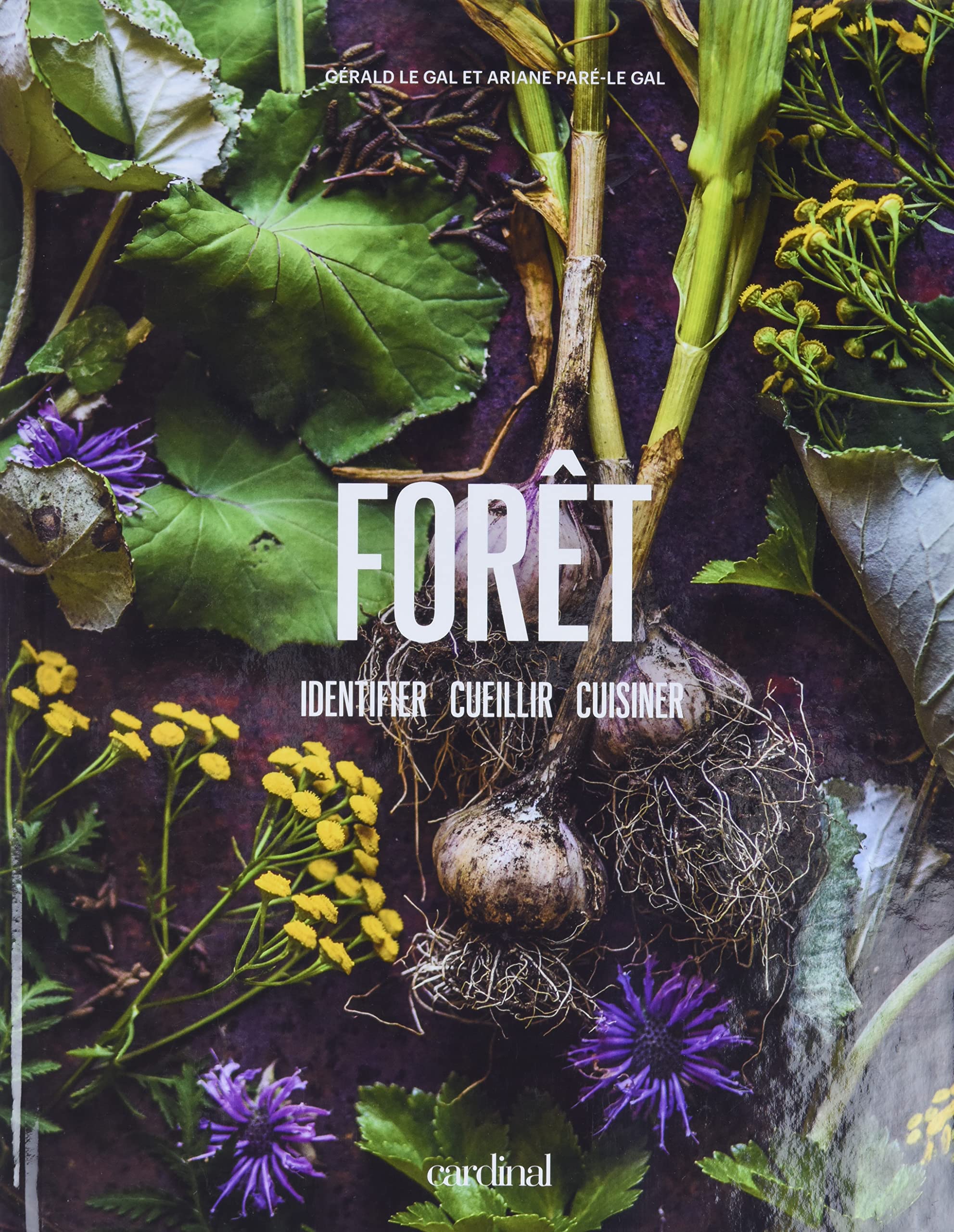 Forêt: Identifier, cueillir, cuisiner: Le Gal, Gérald, Paré-Le Gal ...