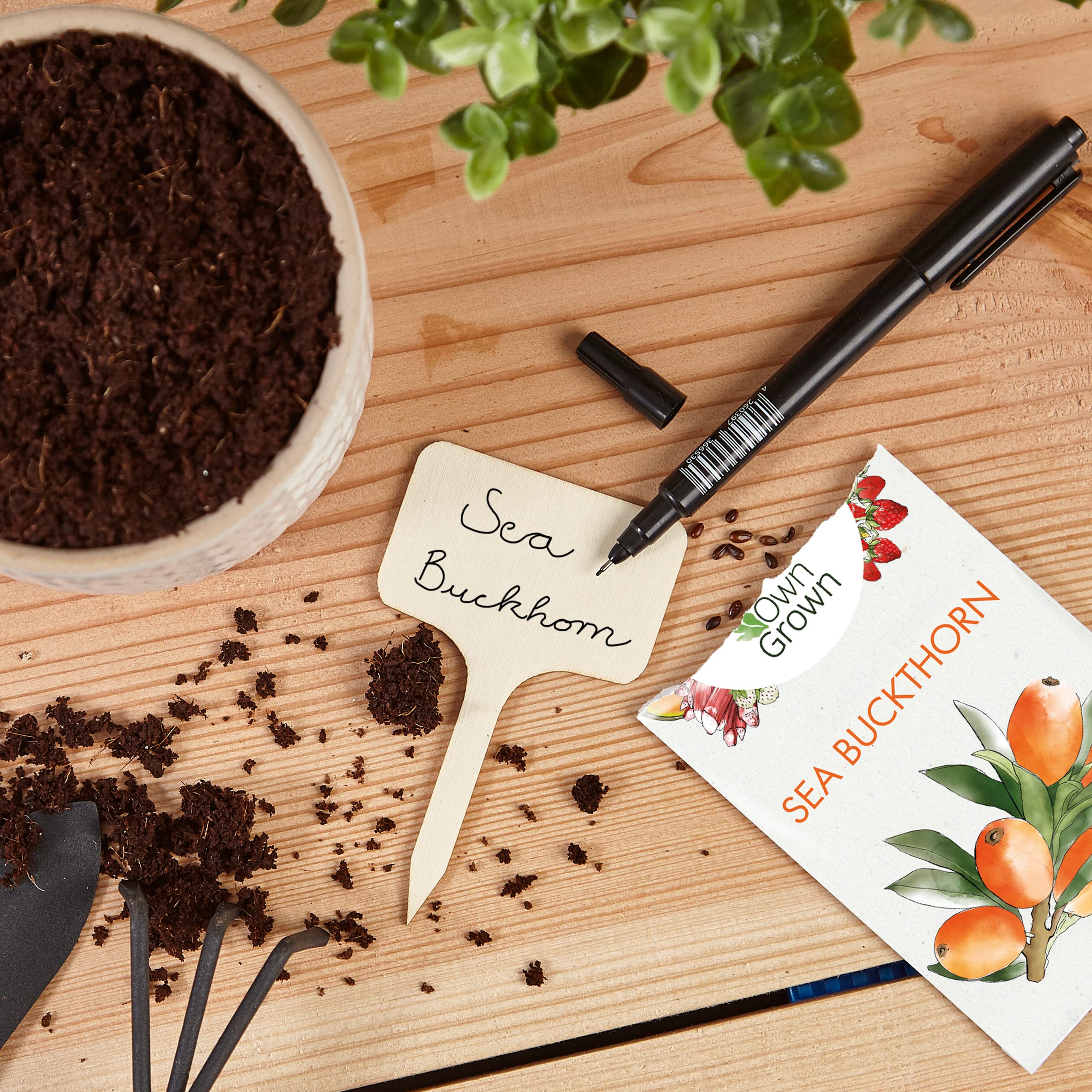 Snapklik.com : Plant Markers: 60 Wooden Plant Name Tags And Marker Pen ...