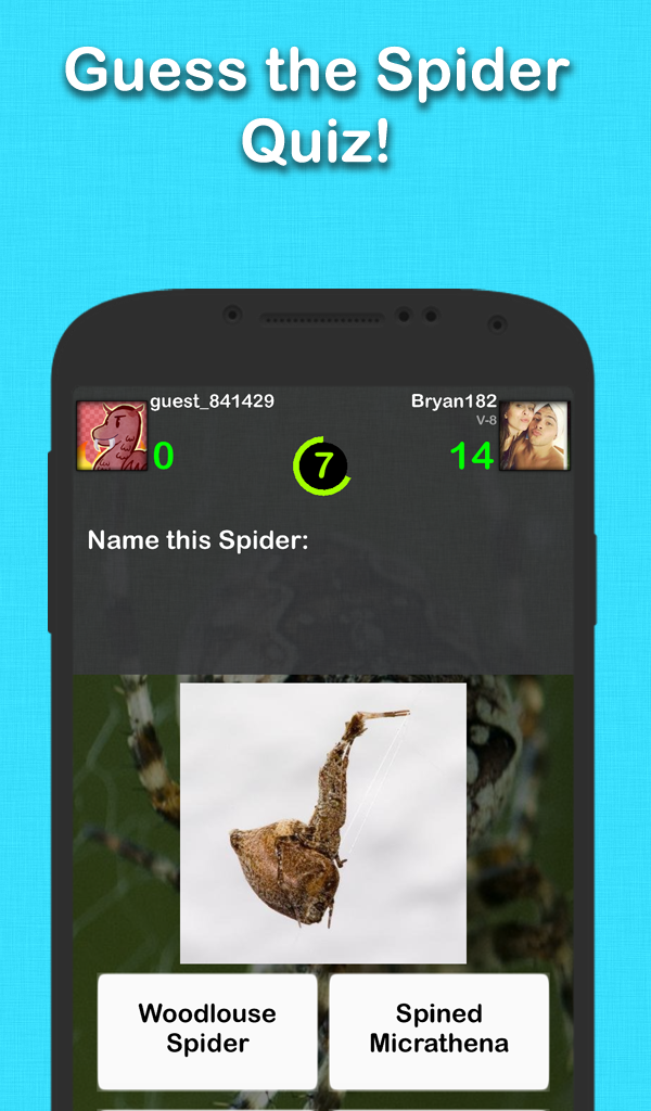 Guess the Spider Quiz - App on Amazon Appstore