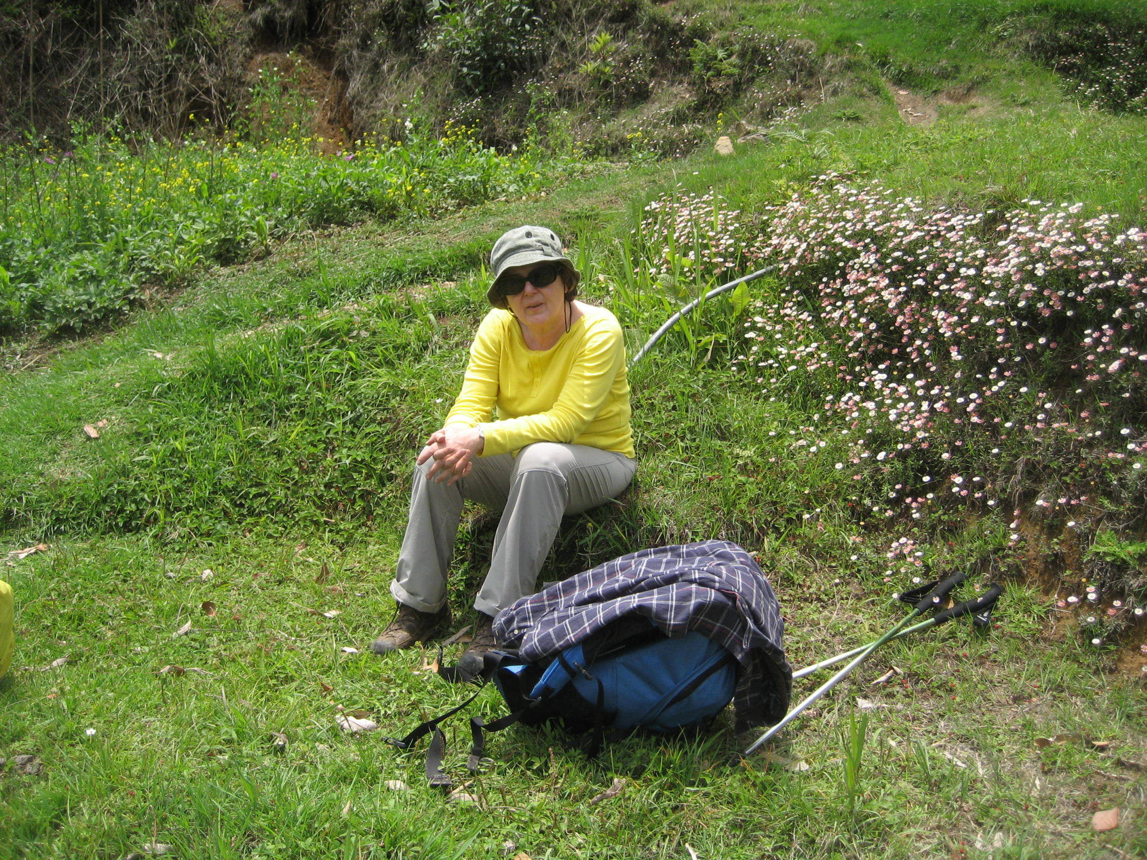 Amazon.com: Judith Wermuth-Atkinson: books, biography, latest update