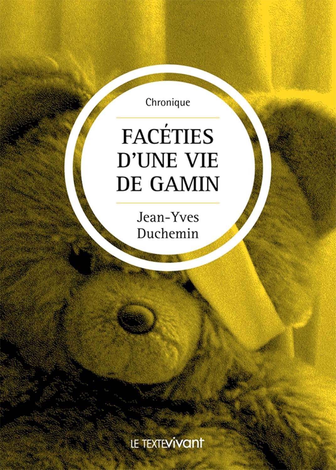 Facéties d'une vie de gamin: Roman autobiographique eBook : Duchemin ...