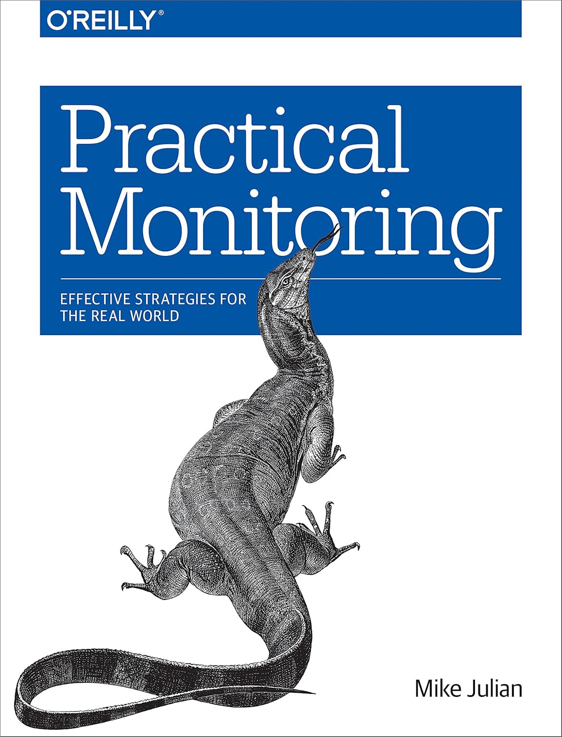 Practical Monitoring: Effective Strategies for the Real World: Julian ...