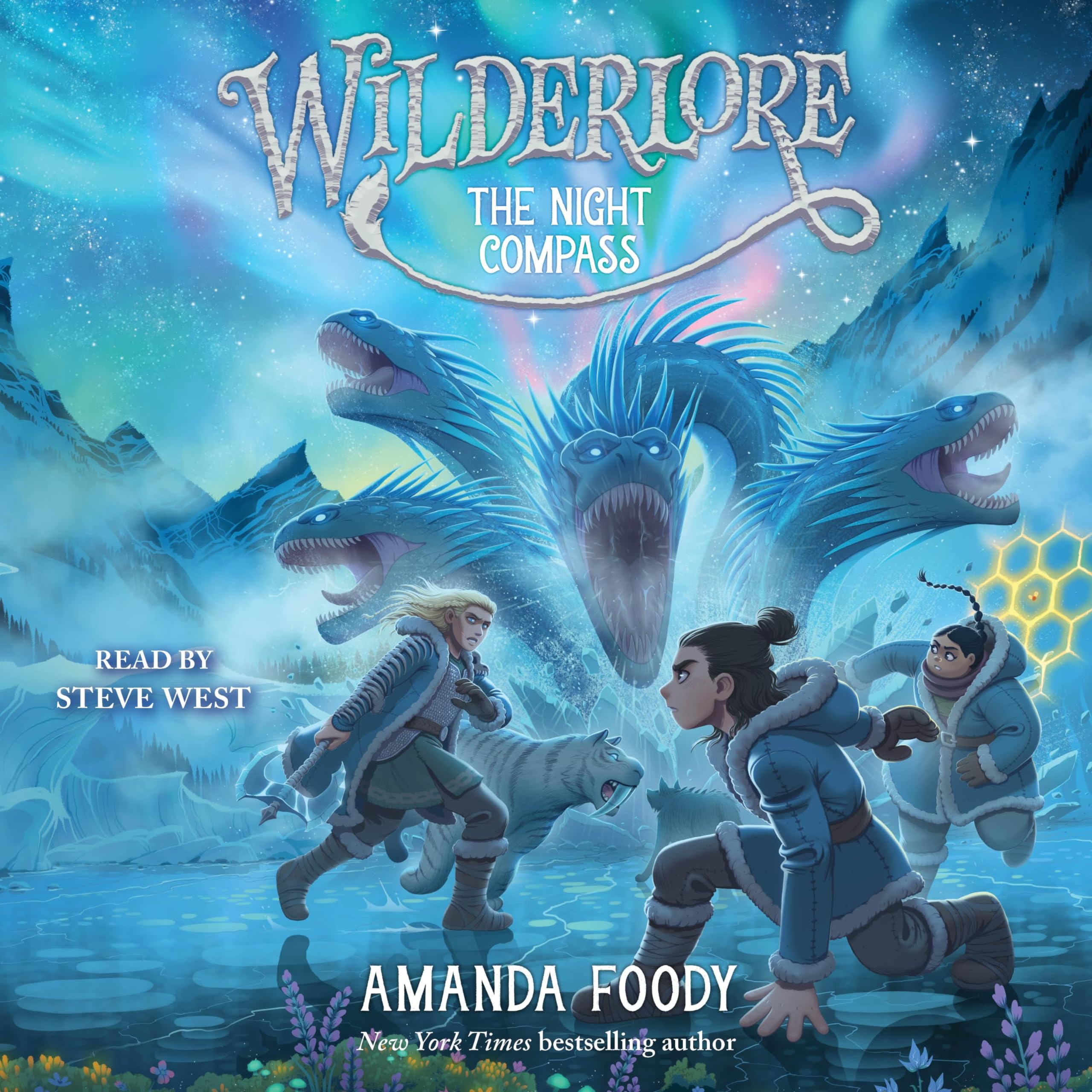The Night Compass (The Wilderlore Series): Amanda Foody: 9781797176543 ...