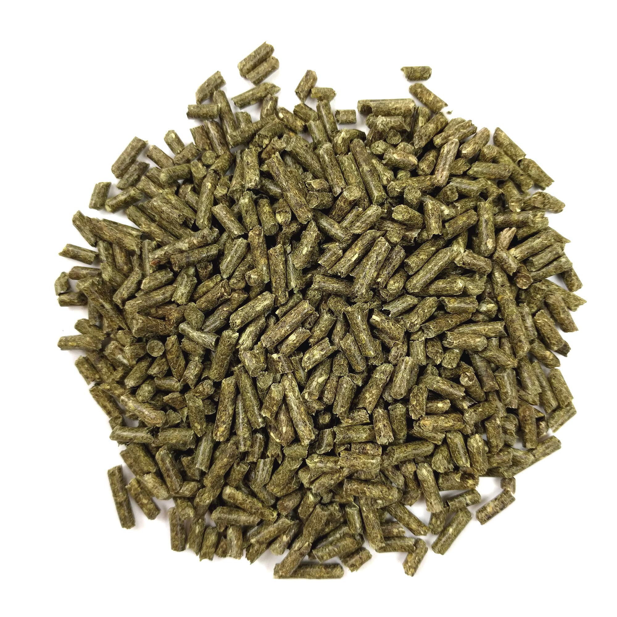 Oxbow Essentials Guinea Pig Food - All Natural Guinea Pig Pellets for ...