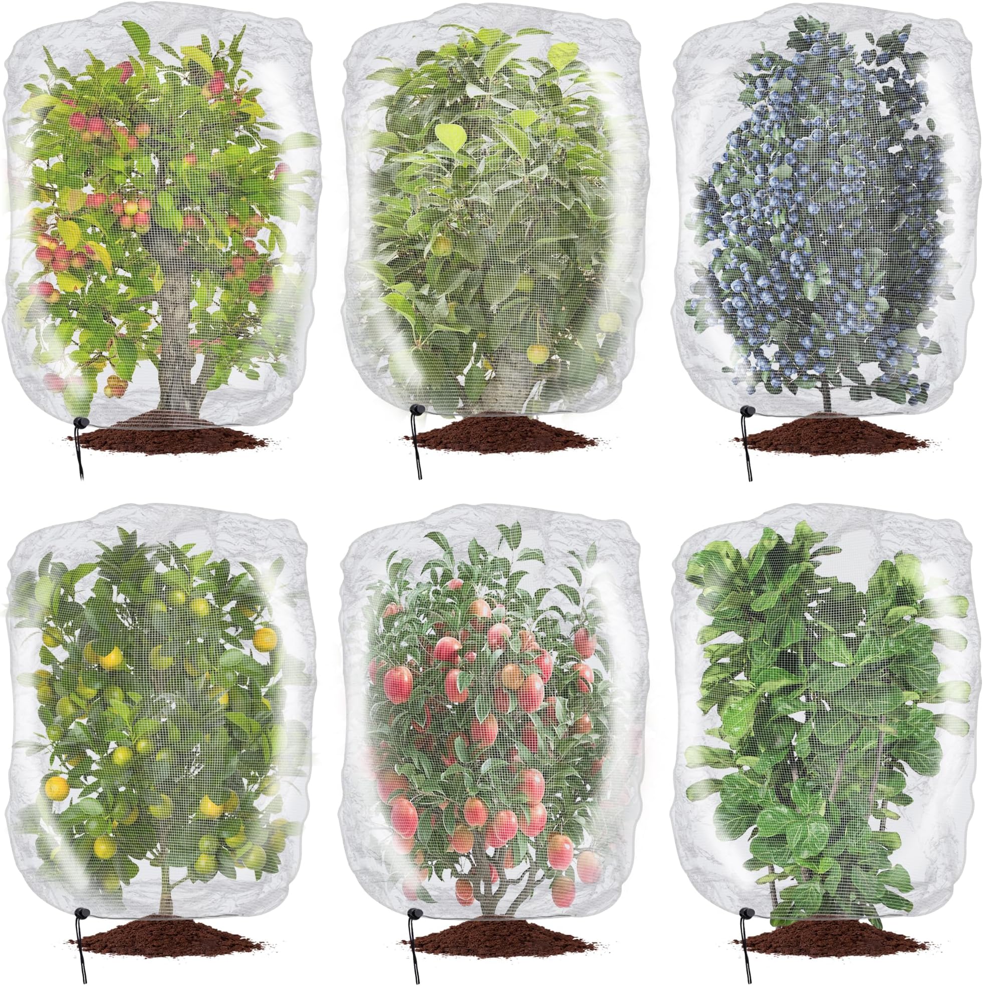 Amazon.com: Deer-Terrent Plant Netting Cover- Size 6' X 6' for Shrubs ...