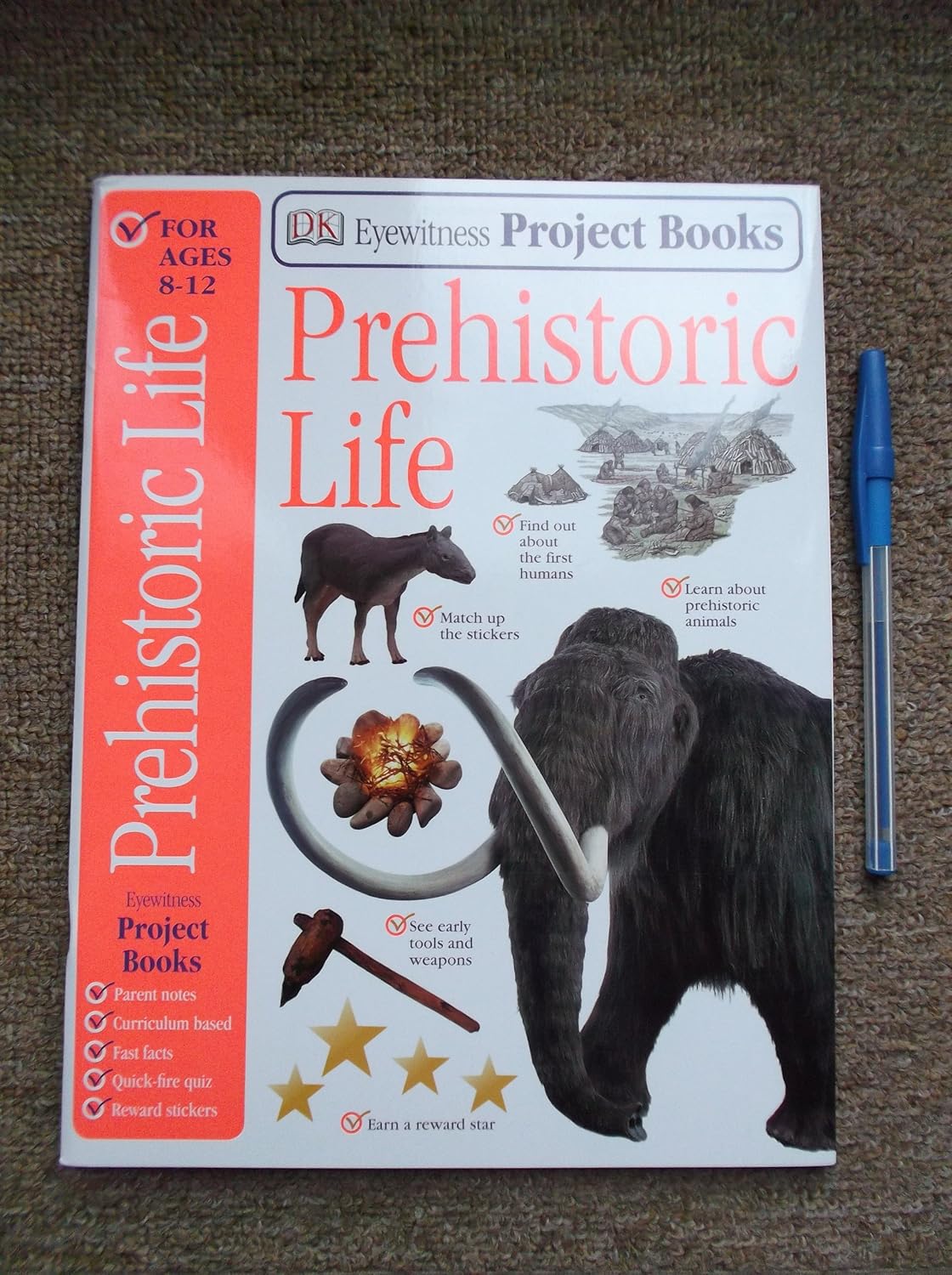 Prehistoric Life (Eyewitness Project Books): Amazon.co.uk ...