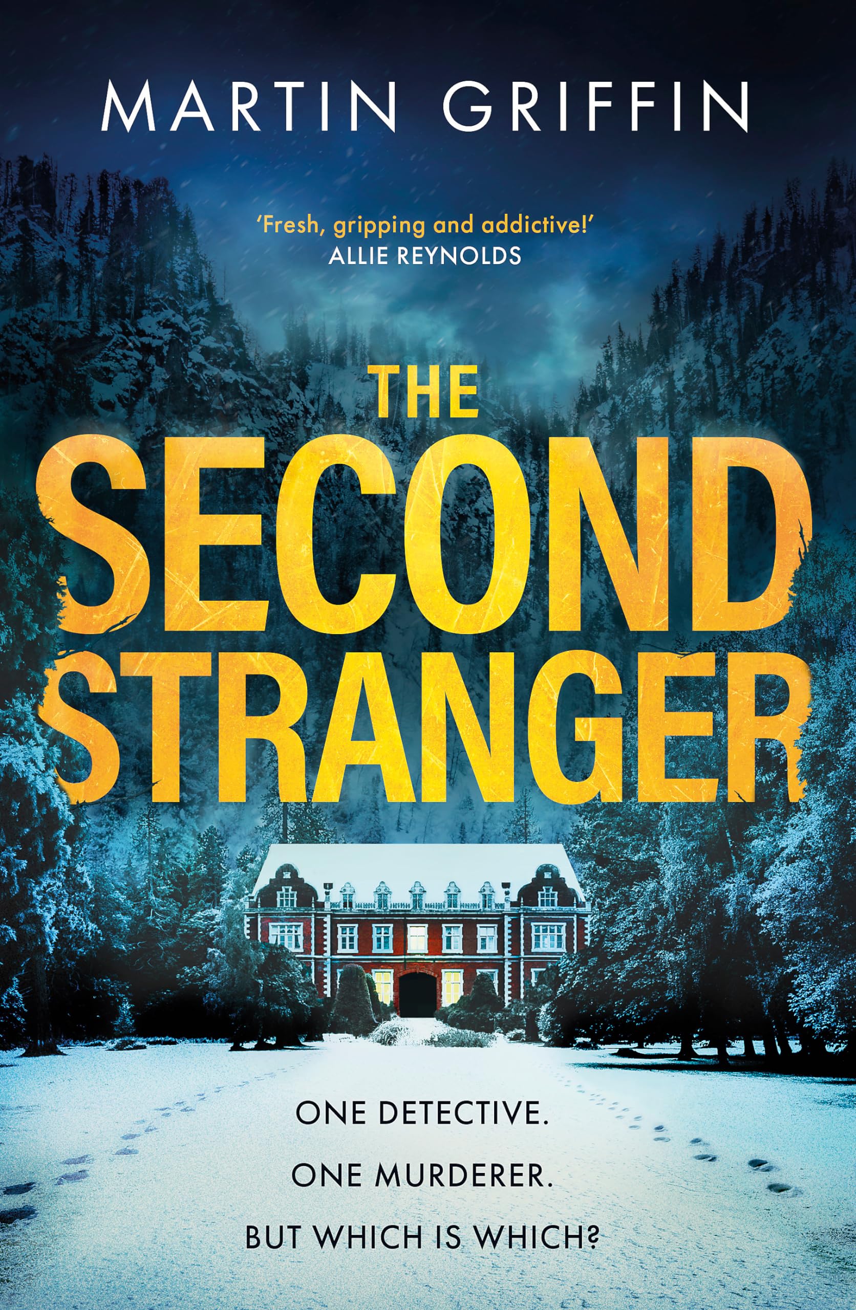 Amazon | The Second Stranger: One detective. One murderer. But which is ...