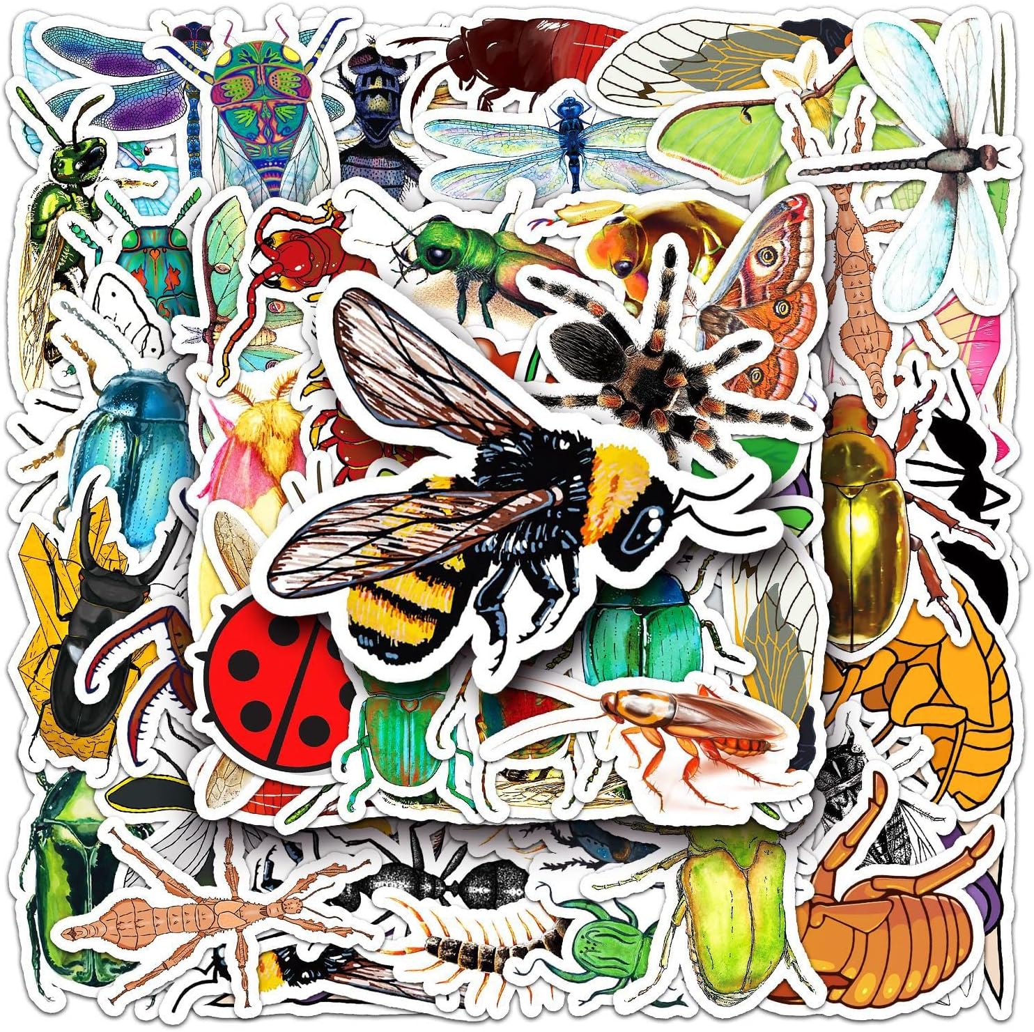 Insect Stickers for Kids(50 Pcs) Colorful Bug Dragonfly Party Supplies ...