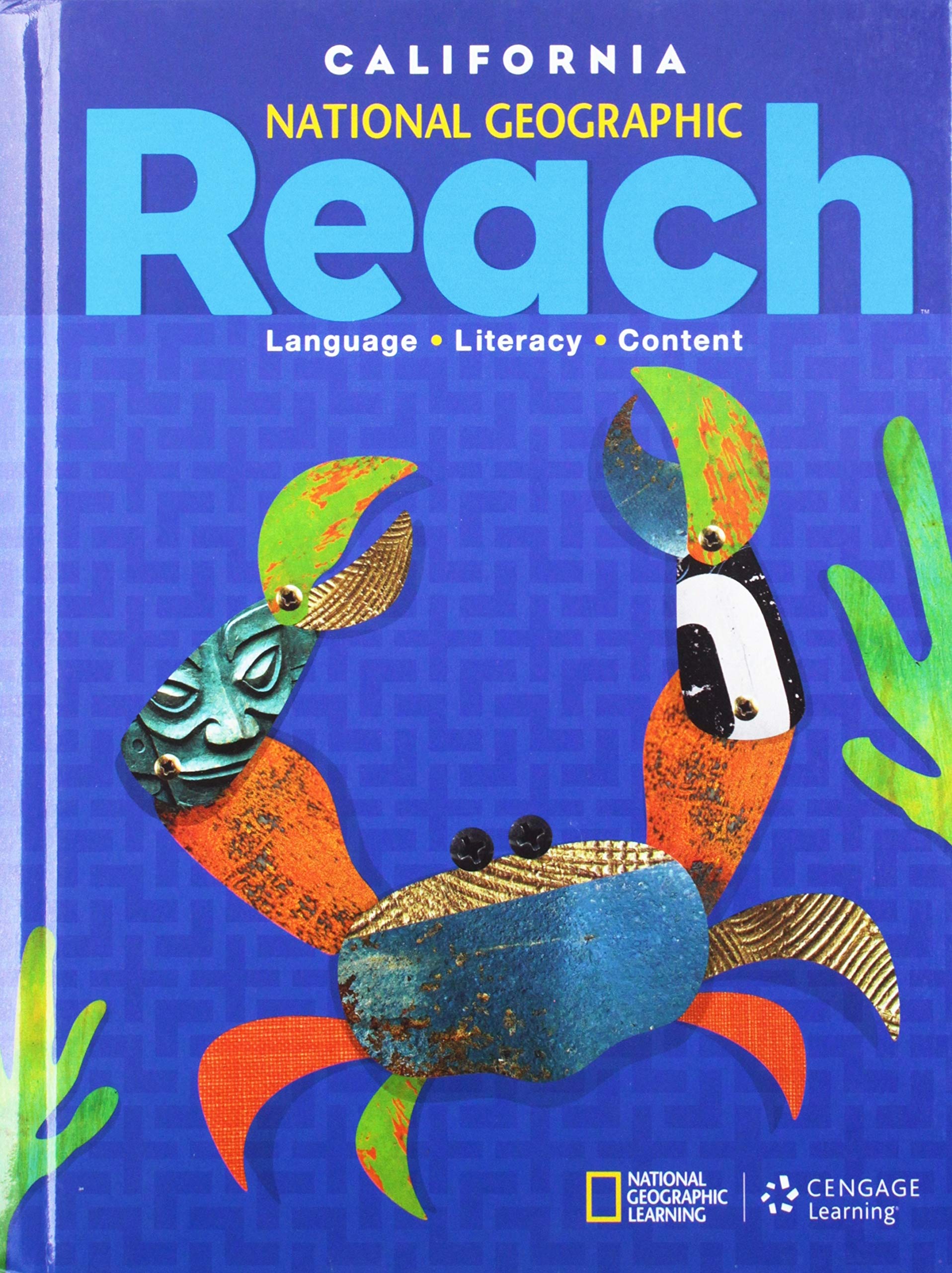 Amazon.com: Reach for Reading Level F Grade 5 Student Edition ...