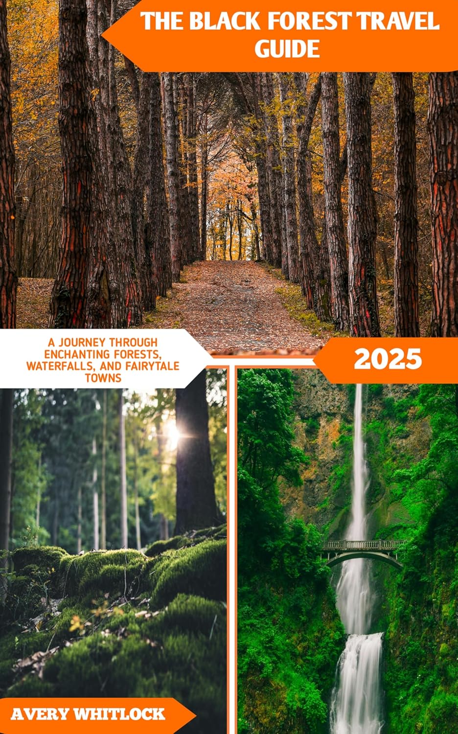 Amazon.com: The Black Forest Travel Guide: A Journey Through Enchanting ...
