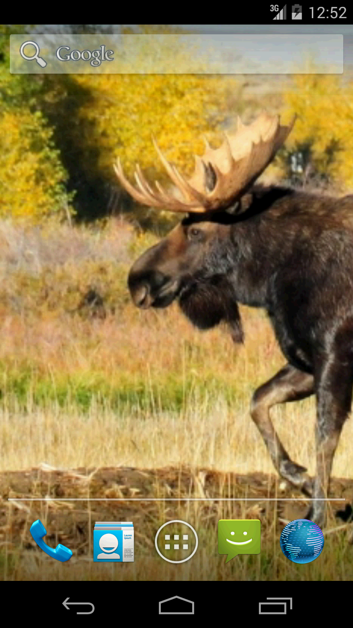 Moose Wallpaper App - App on the Amazon Appstore