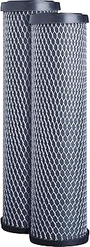 General Electric FXWTC Water Filter, 9.00 x 5.00 x 2.00 inches, 2 Count ...