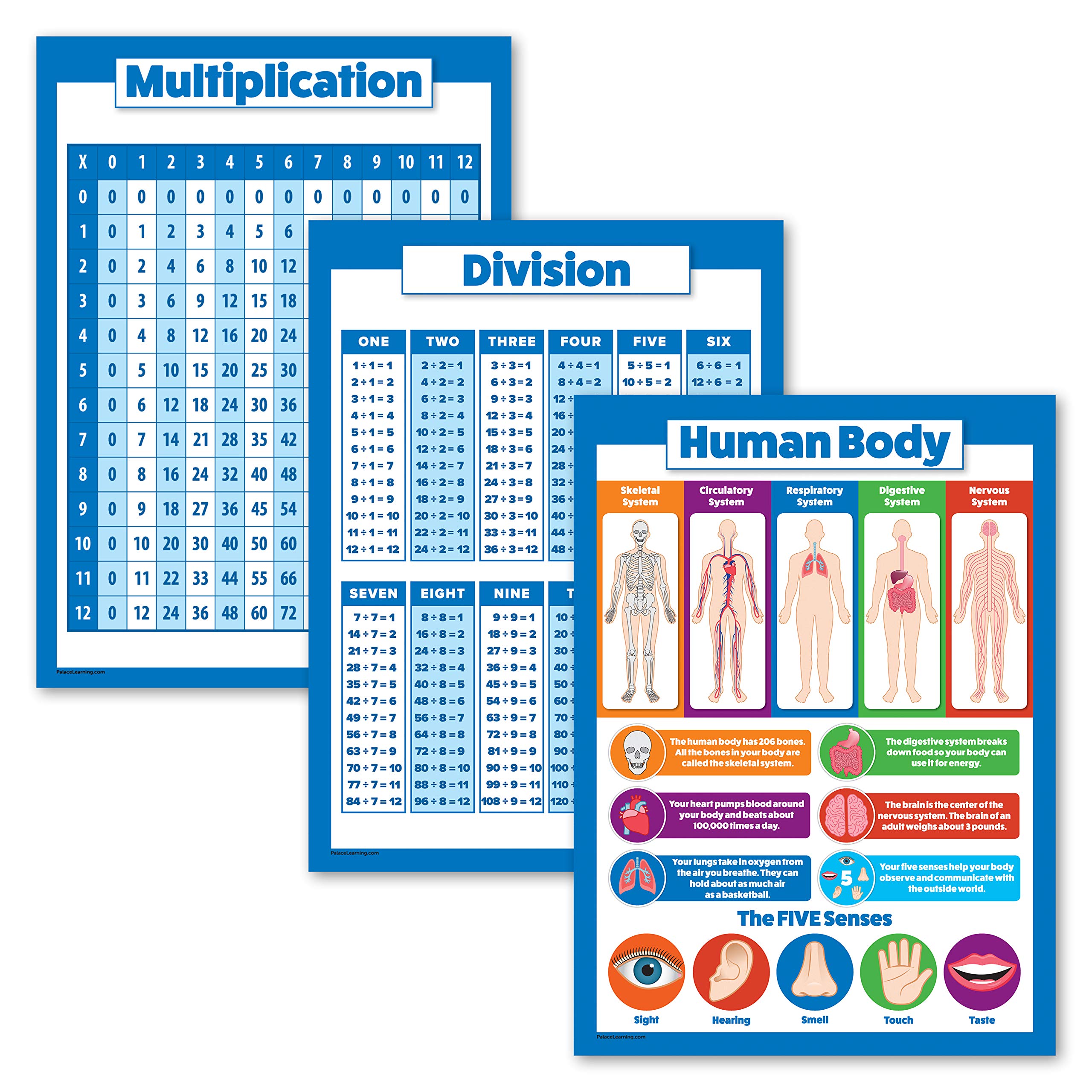 Buy 3 Pack - Multiplication Table + Division + Understanding The Human ...