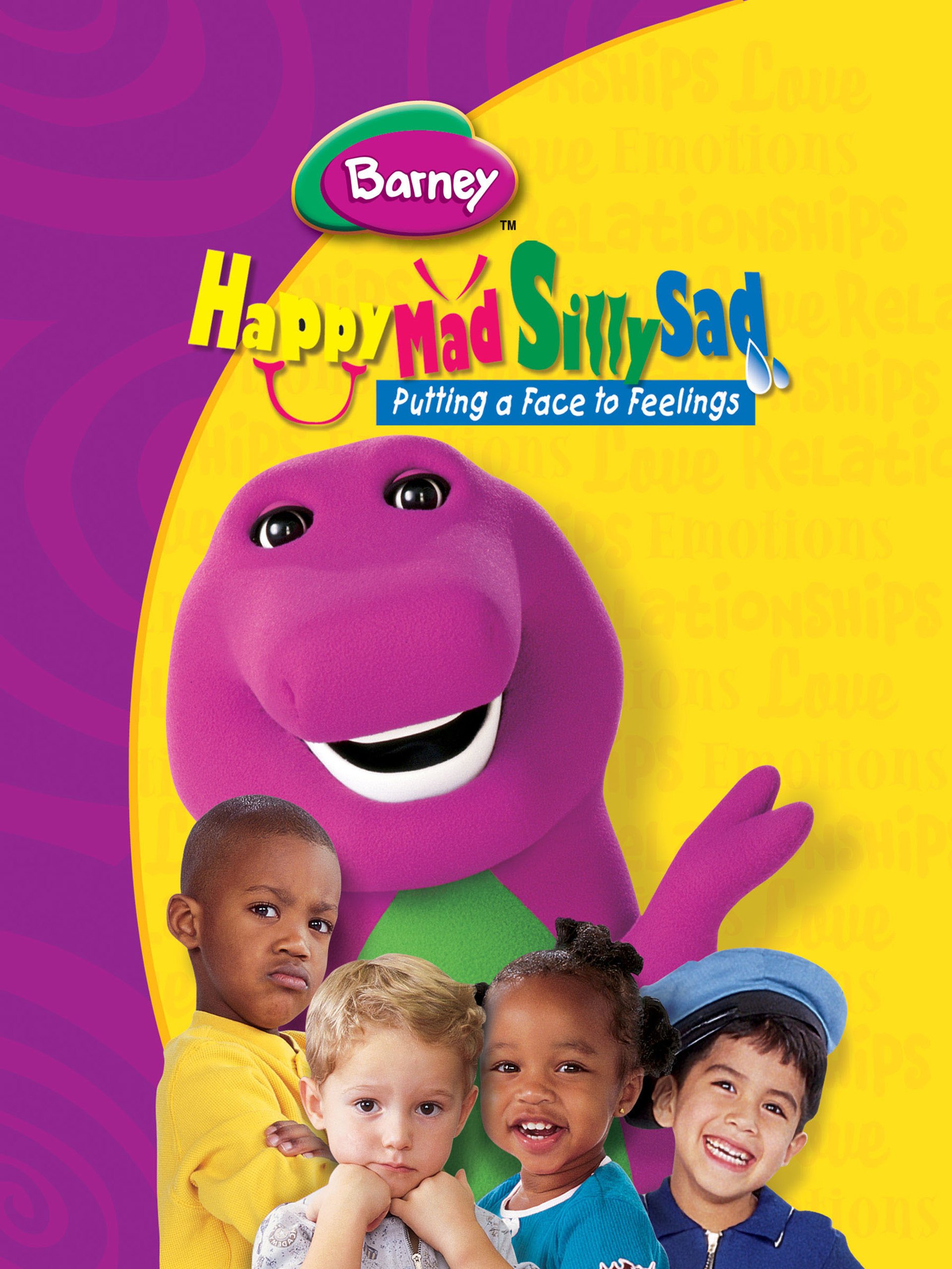 Buy Barney: Happy, Mad, Silly, Sad: Putting A Face To Feelings Online ...