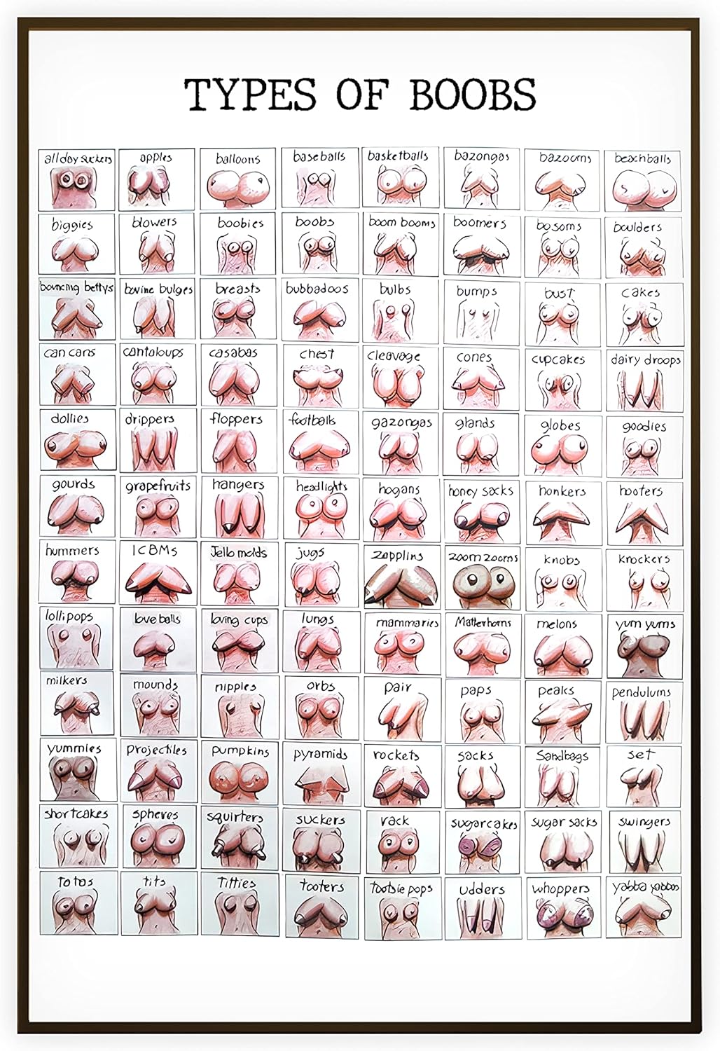 Amazon.com: Lannie Urban Funny Types of Boobs Vintage Poster, Funny Bathroom Wall Art, Sexy ...