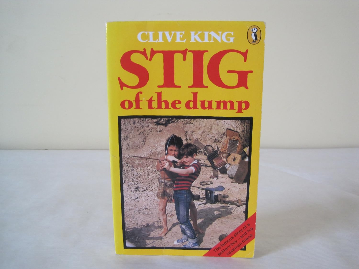 Stig of the Dump: King, Clive: 9780140301960: Amazon.com: Books