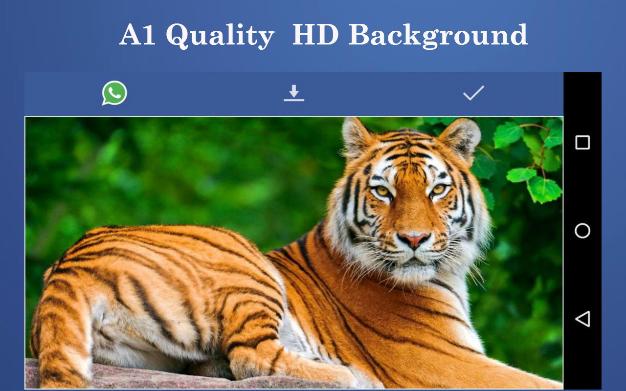 Background and HD Wallpapers - A1 Media - App on Amazon Appstore