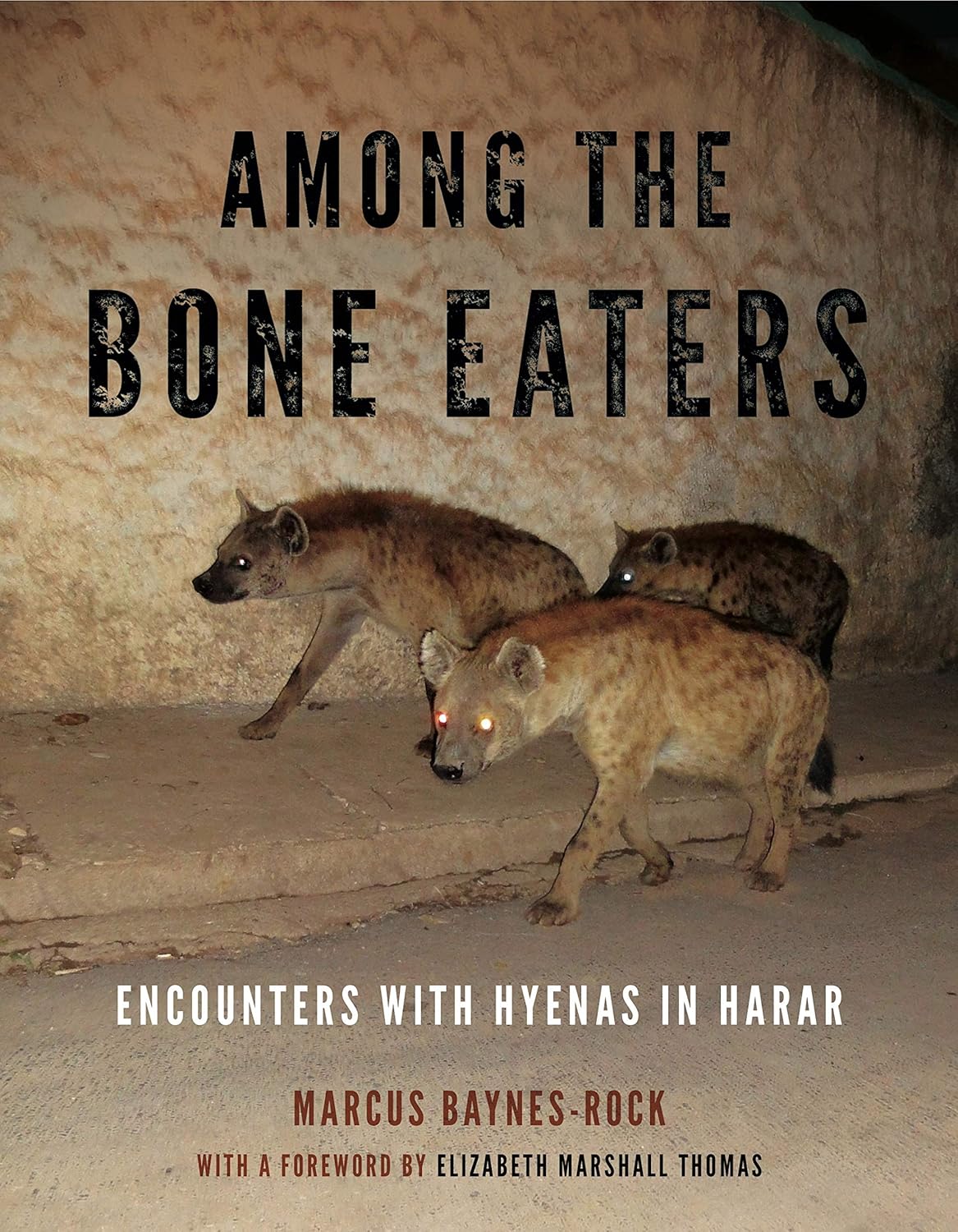 Among the Bone Eaters: Encounters with Hyenas in Harar (Animalibus: Of ...