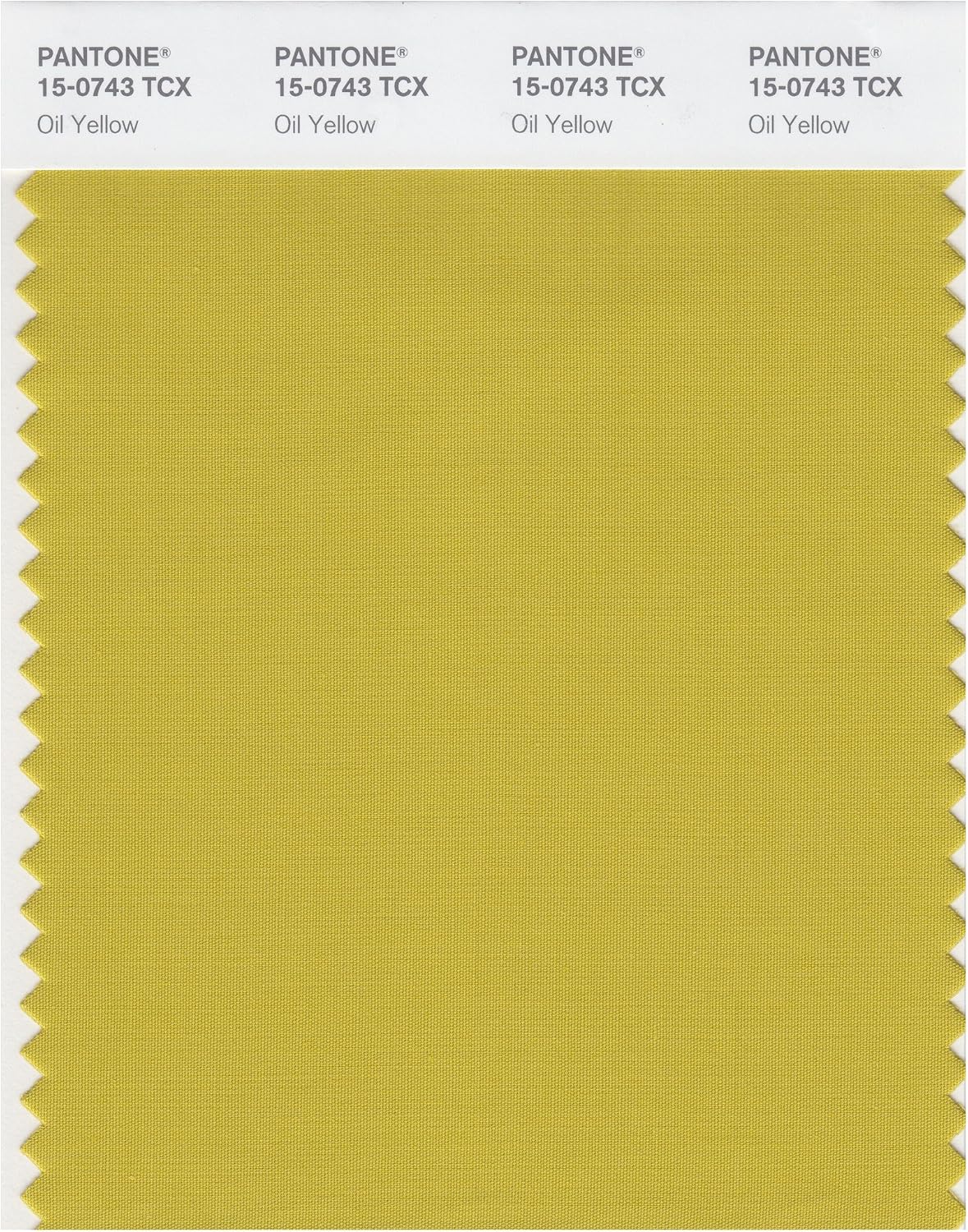 PANTONE SMART 15-0743X Color Swatch Card, Oil Yellow - Wall Decor ...