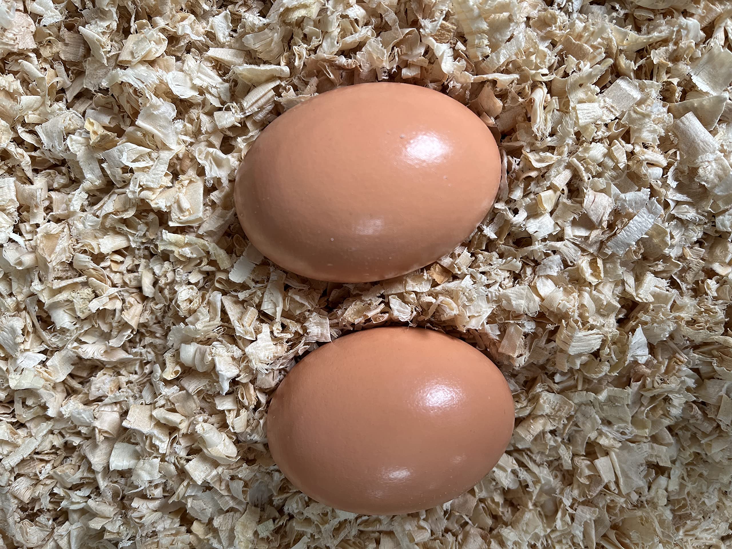 Snapklik.com : Fuzzy-Bird Chicken COOP Door Egg
