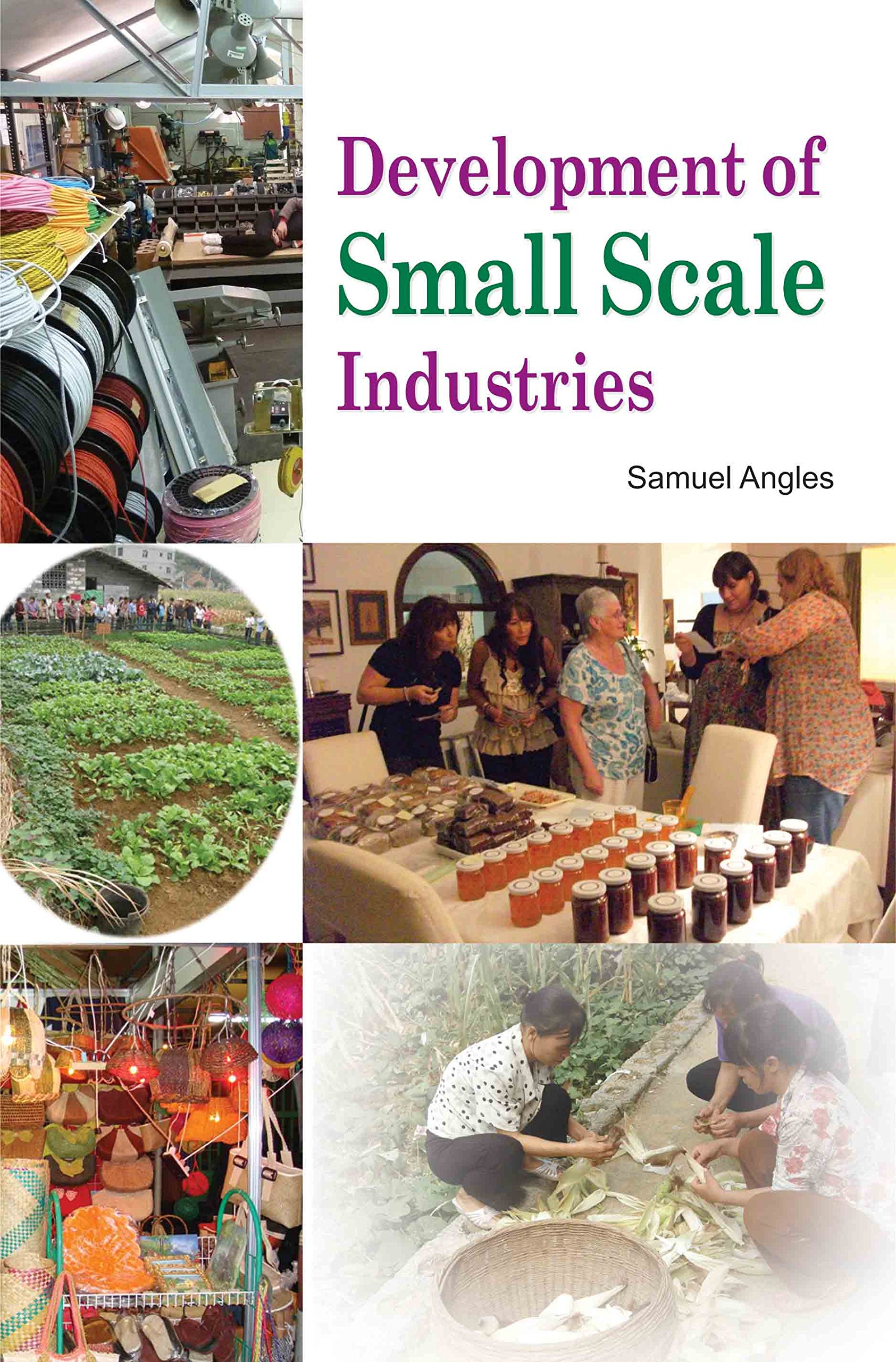 Buy Development of Small Scale Industries Book Online at Low Prices in ...