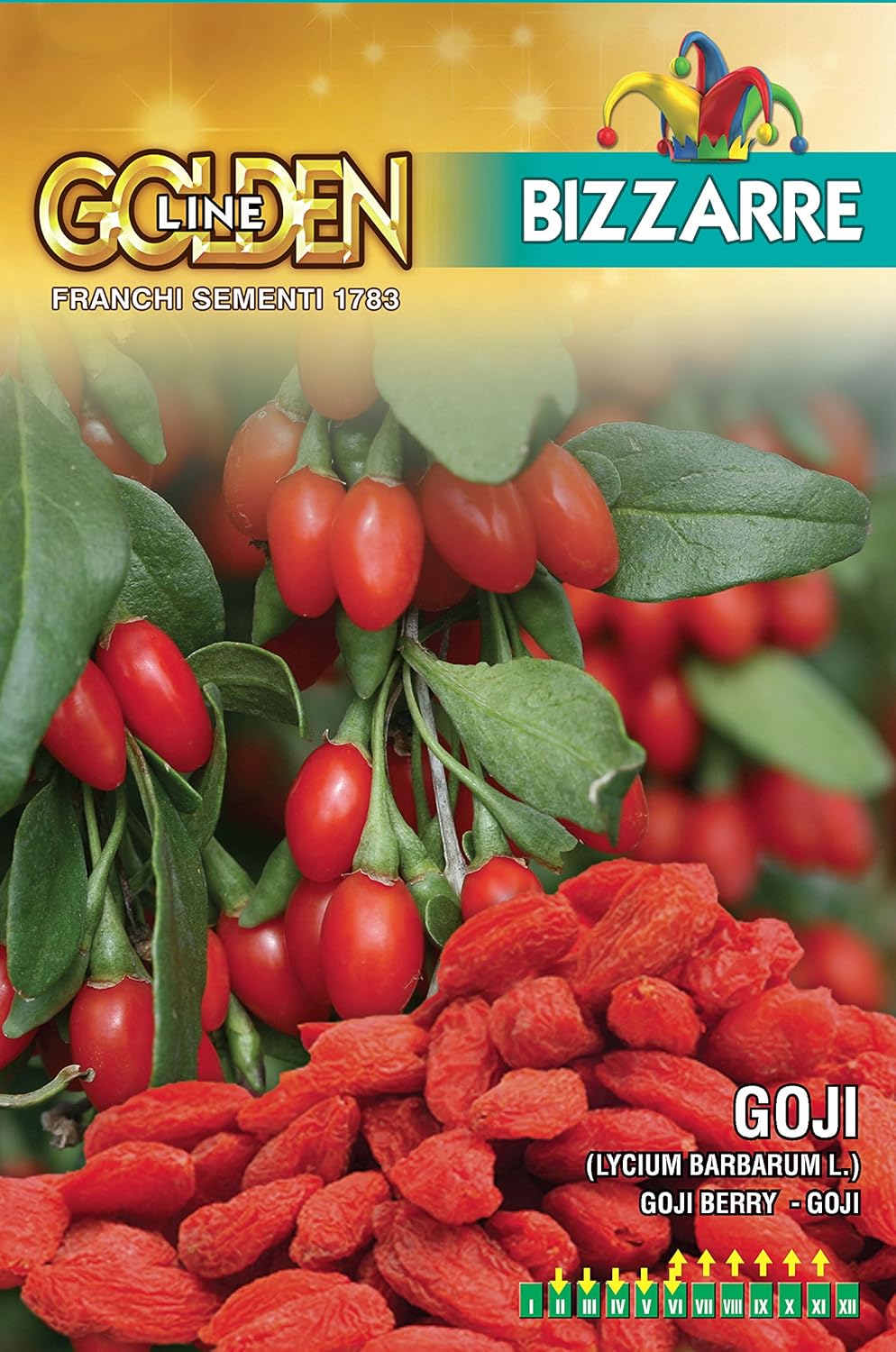 Franchi Seeds of Italy"Goji Berries" Seeds for Planting : Amazon.co.uk ...