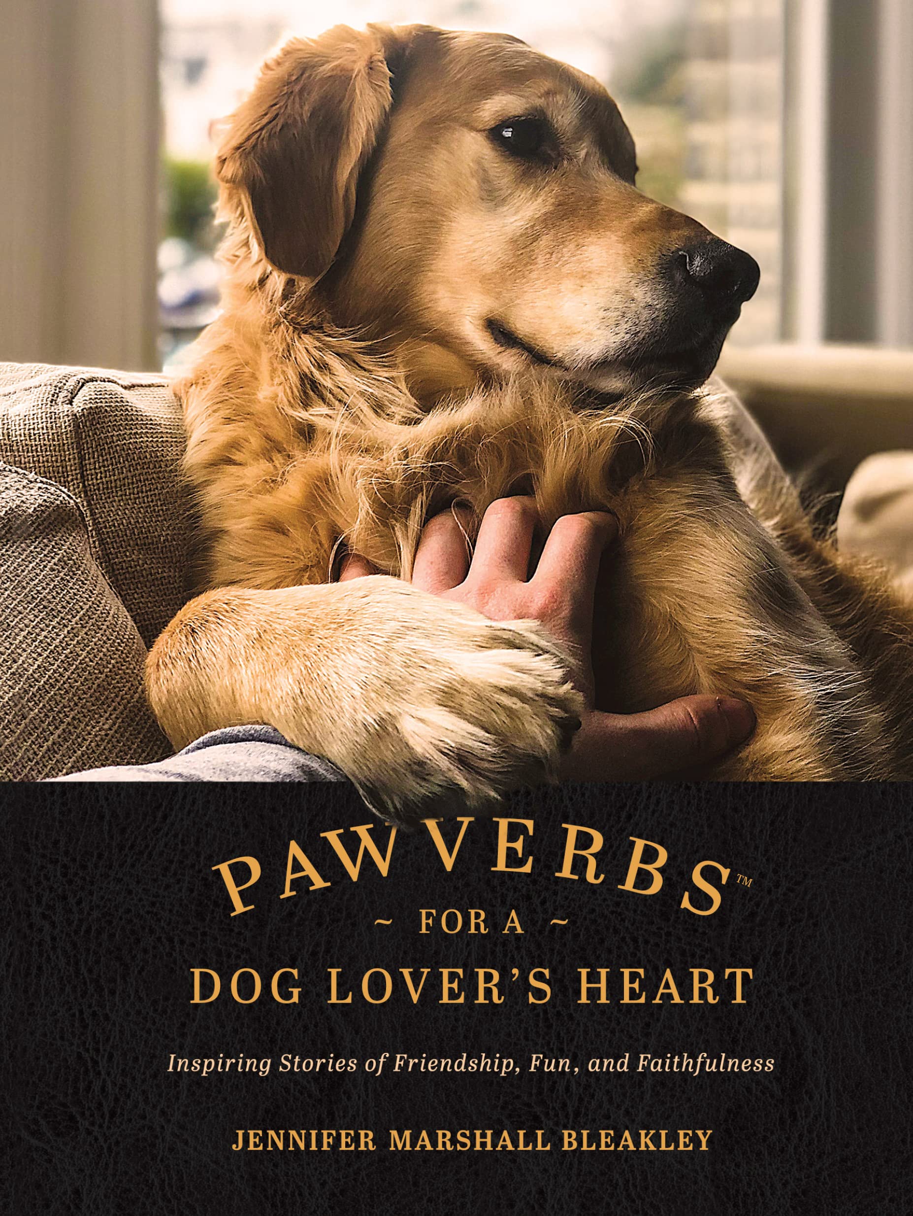 Pawverbs for a Dog Lover’s Heart: Inspiring Stories of Friendship, Fun ...