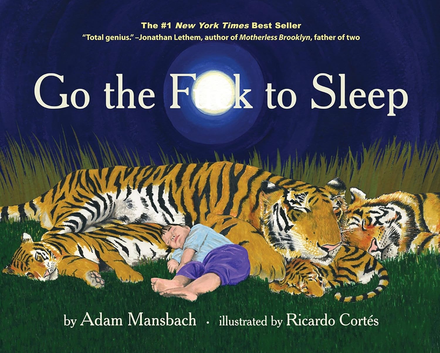 Go the F**k to Sleep: Adam Mansbach, Ricardo Cortés: 9781617750250 ...