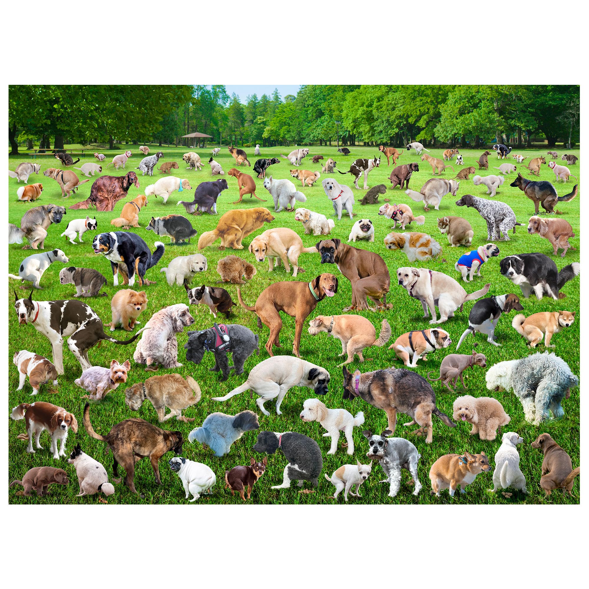 Snapklik.com : Original 101 Pooping Puppies Puzzle - Hilarious Jigsaw ...